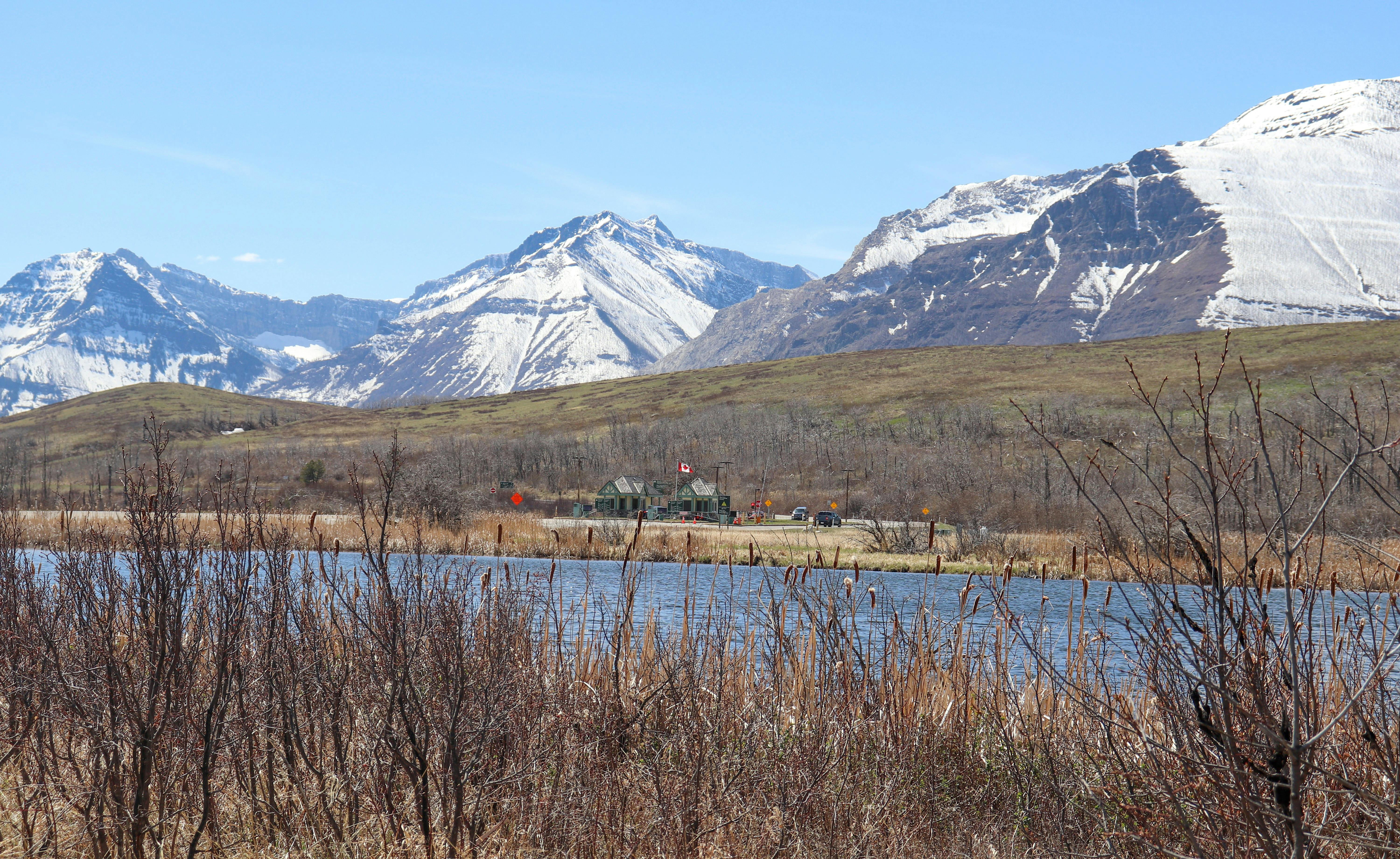 Reeds Industriales Photos, Download The BEST Free Reeds Industriales ...