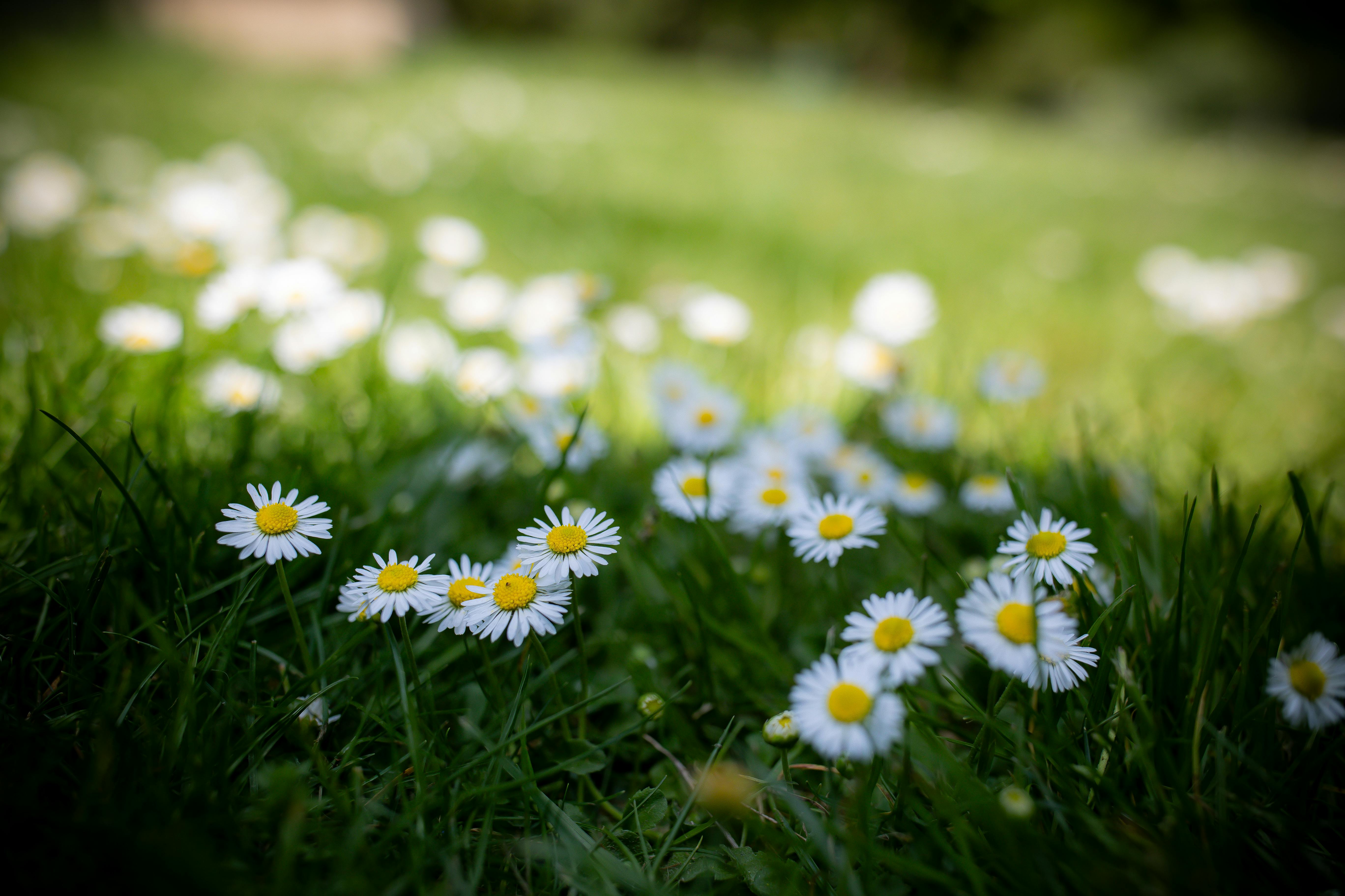 April Landscape Photos, Download The BEST Free April Landscape Stock ...