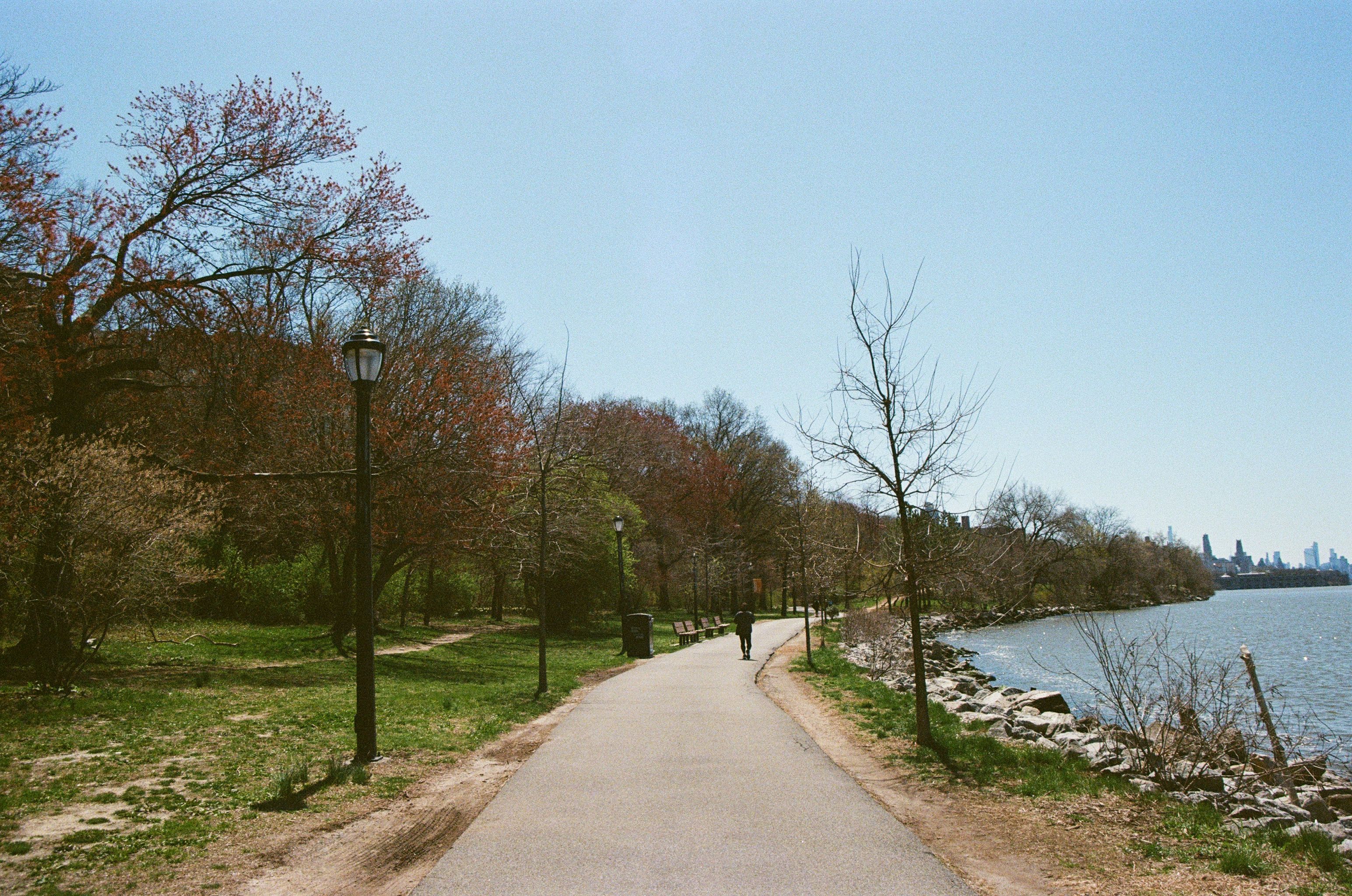 Sky Pathway Photos, Download The BEST Free Sky Pathway Stock Photos ...