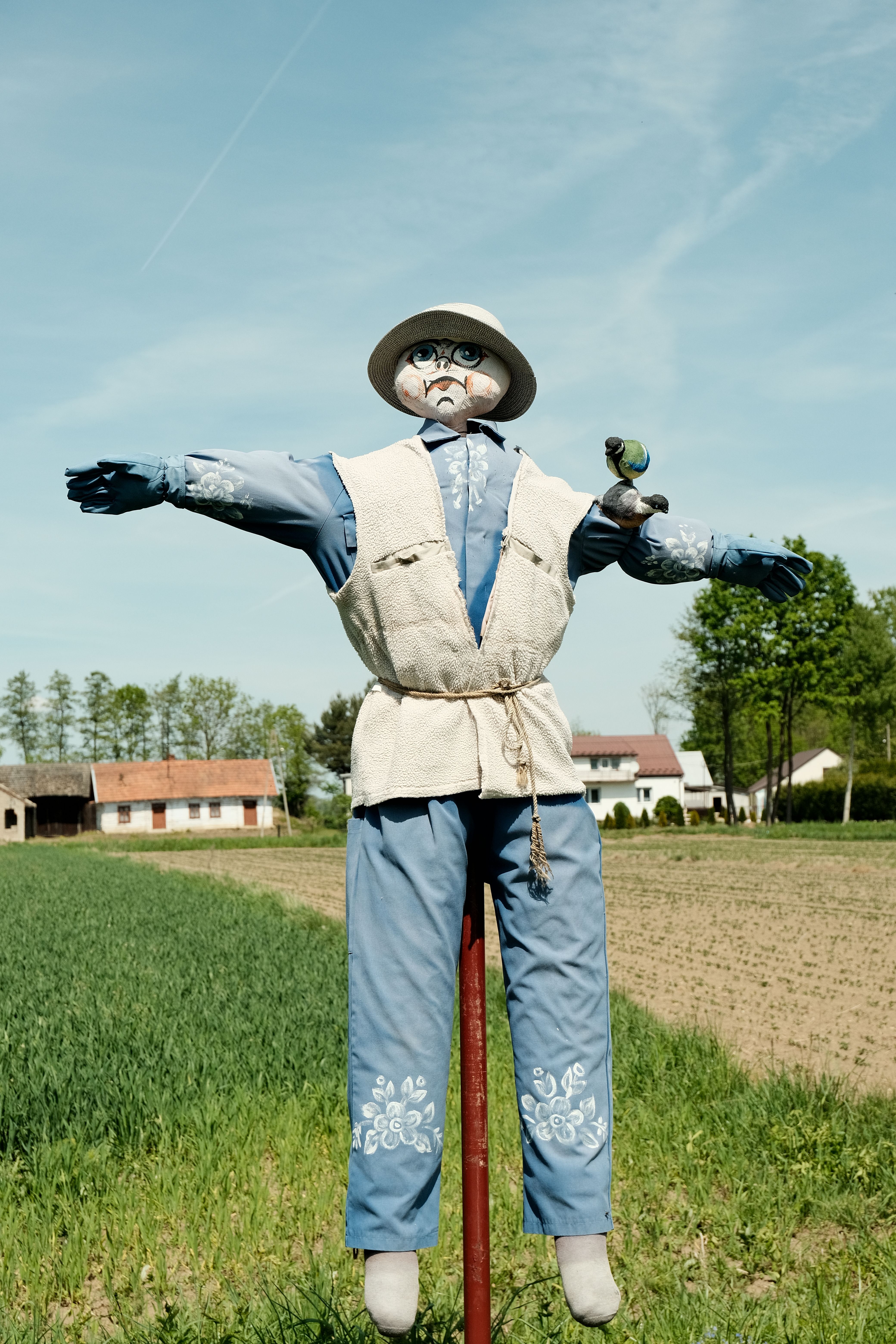 House Guards Photos, Download The BEST Free House Guards Stock Photos ...