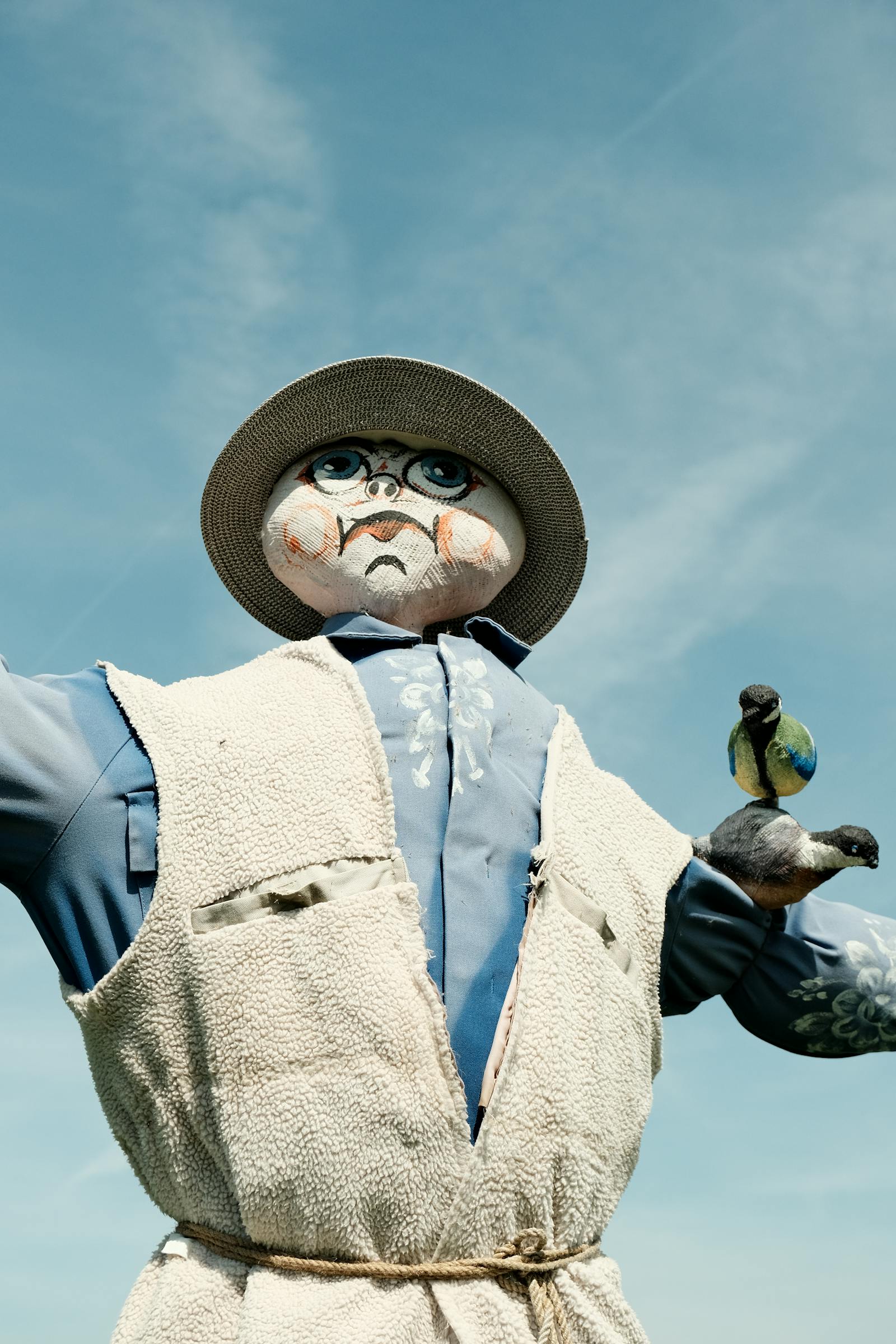 Scarecrow Photos, Download The BEST Free Scarecrow Stock Photos & HD Images