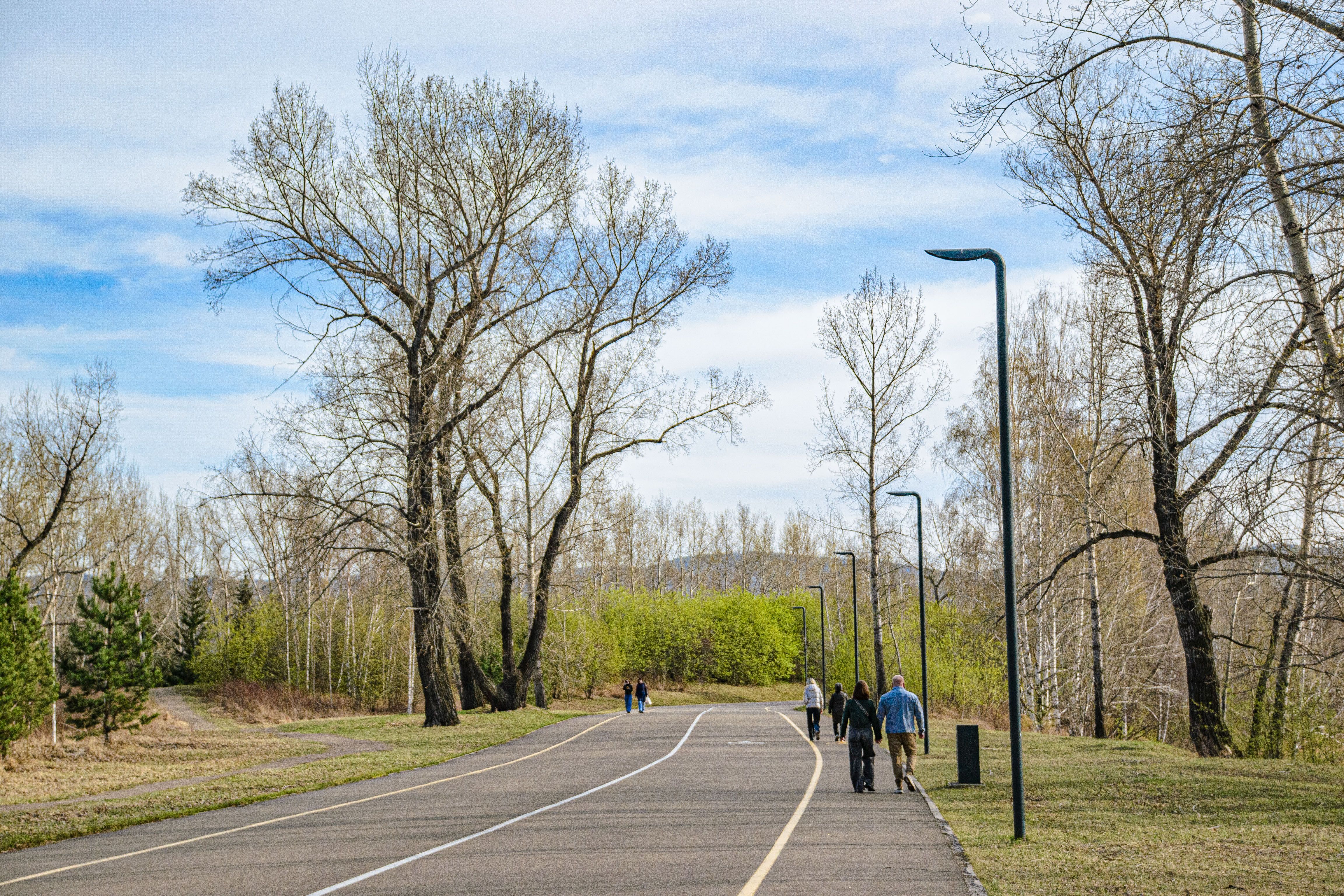 Peaceful Spring Walk in Scenic Park · Free Stock Photo