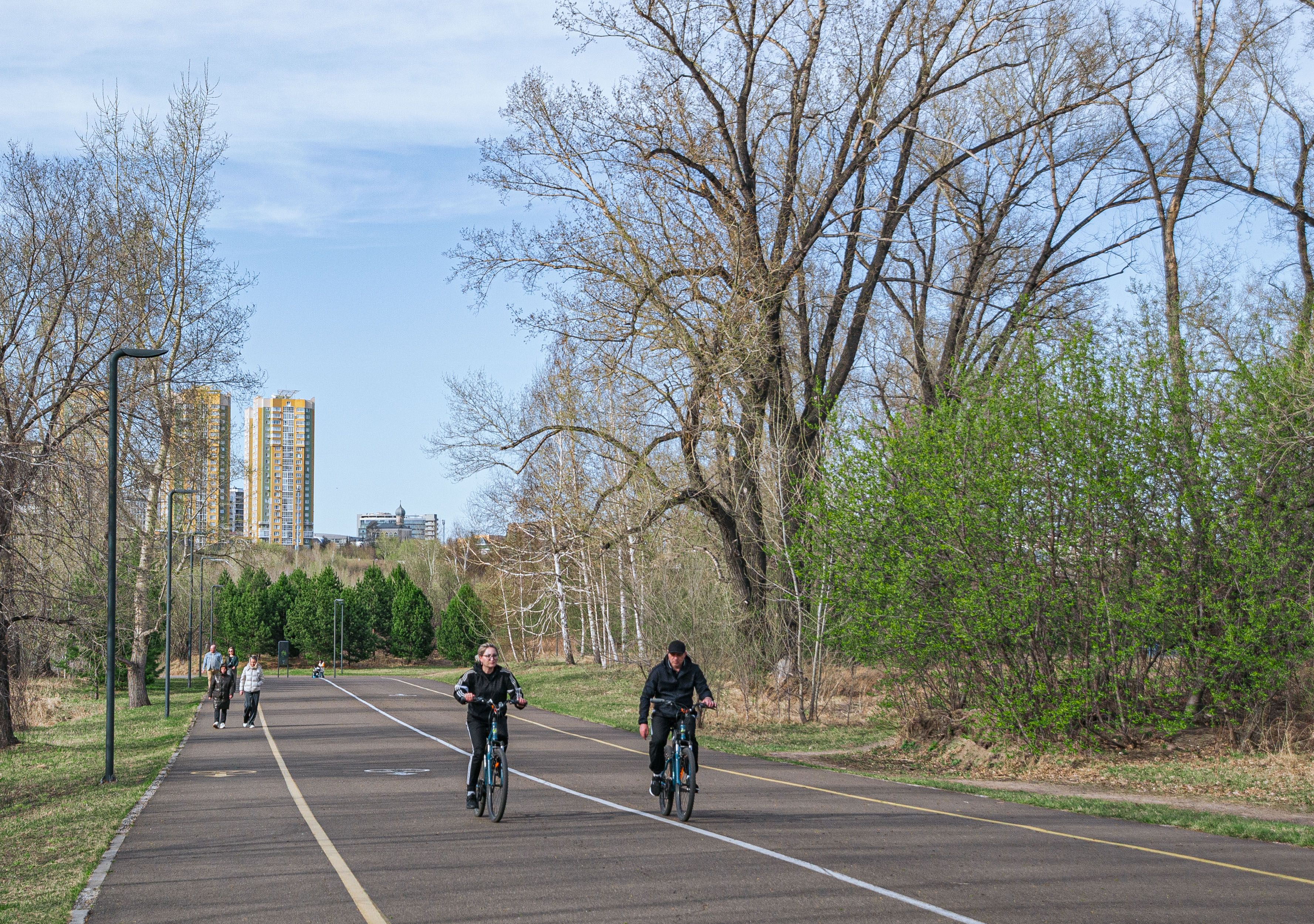 Spring Day Cycling in Urban Park · Free Stock Photo