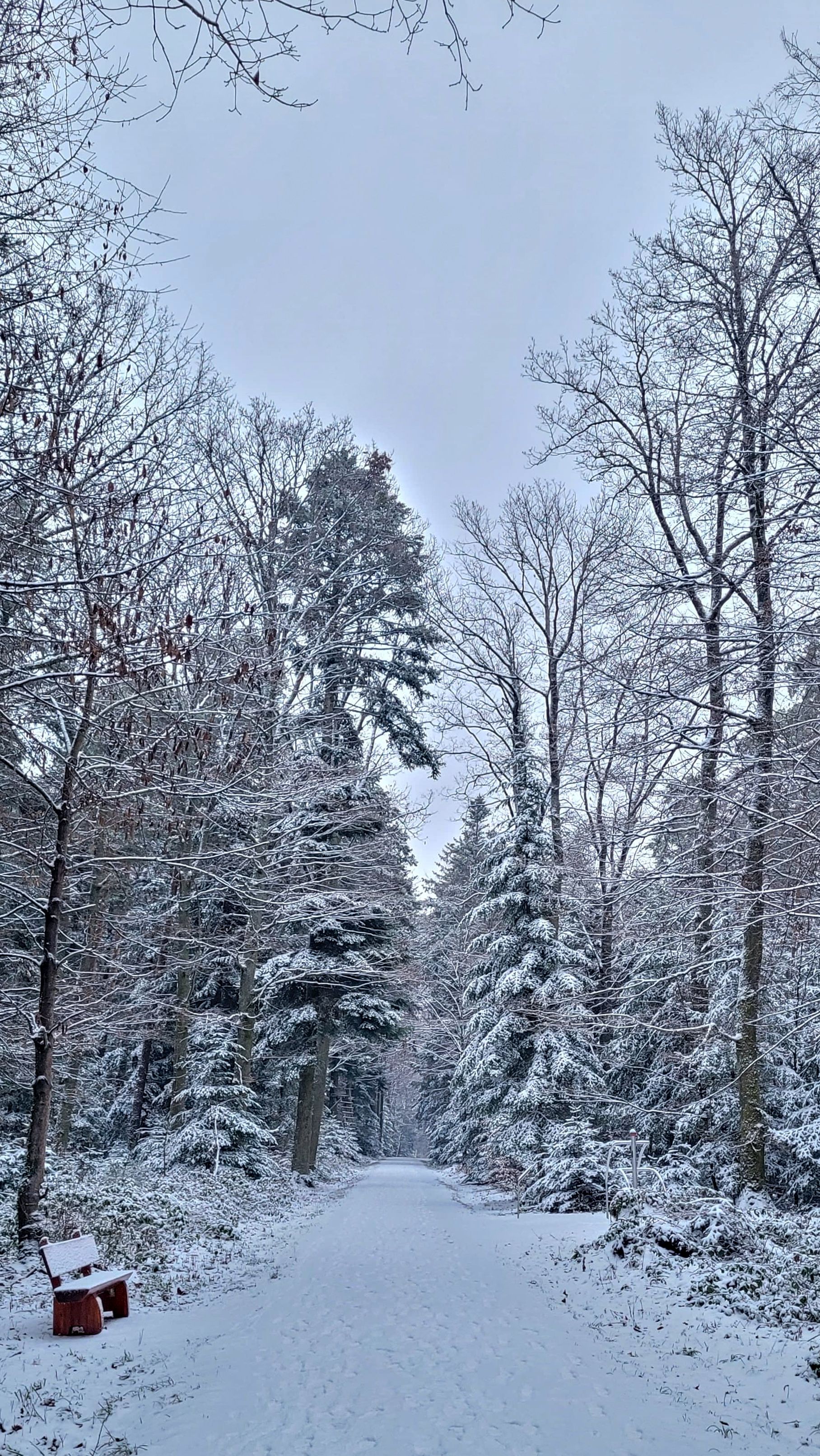 Welcome January Photos, Download The BEST Free Welcome January Stock ...