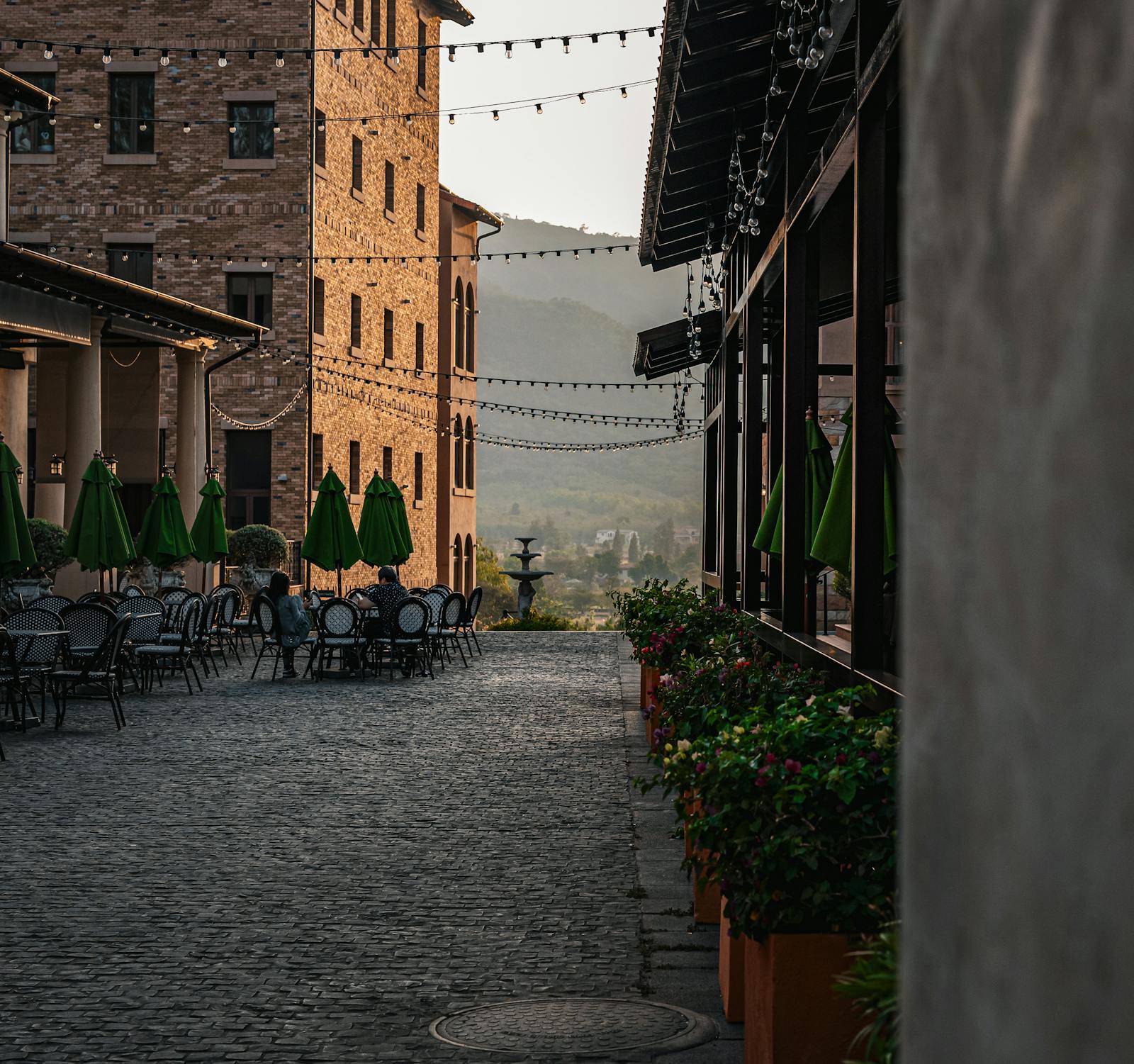 Pixabay Free Images Photos, Download The BEST Free Pixabay Free Images ...