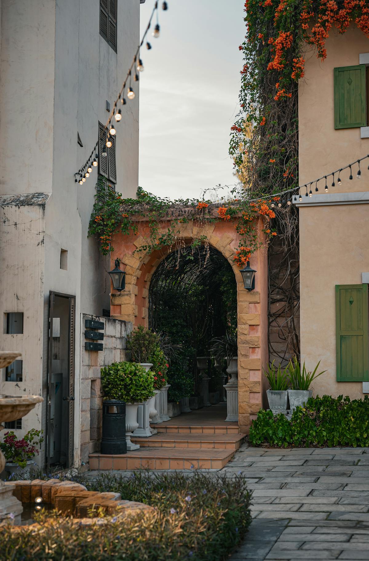 Free Images Photos, Download The BEST Free Free Images Stock Photos ...