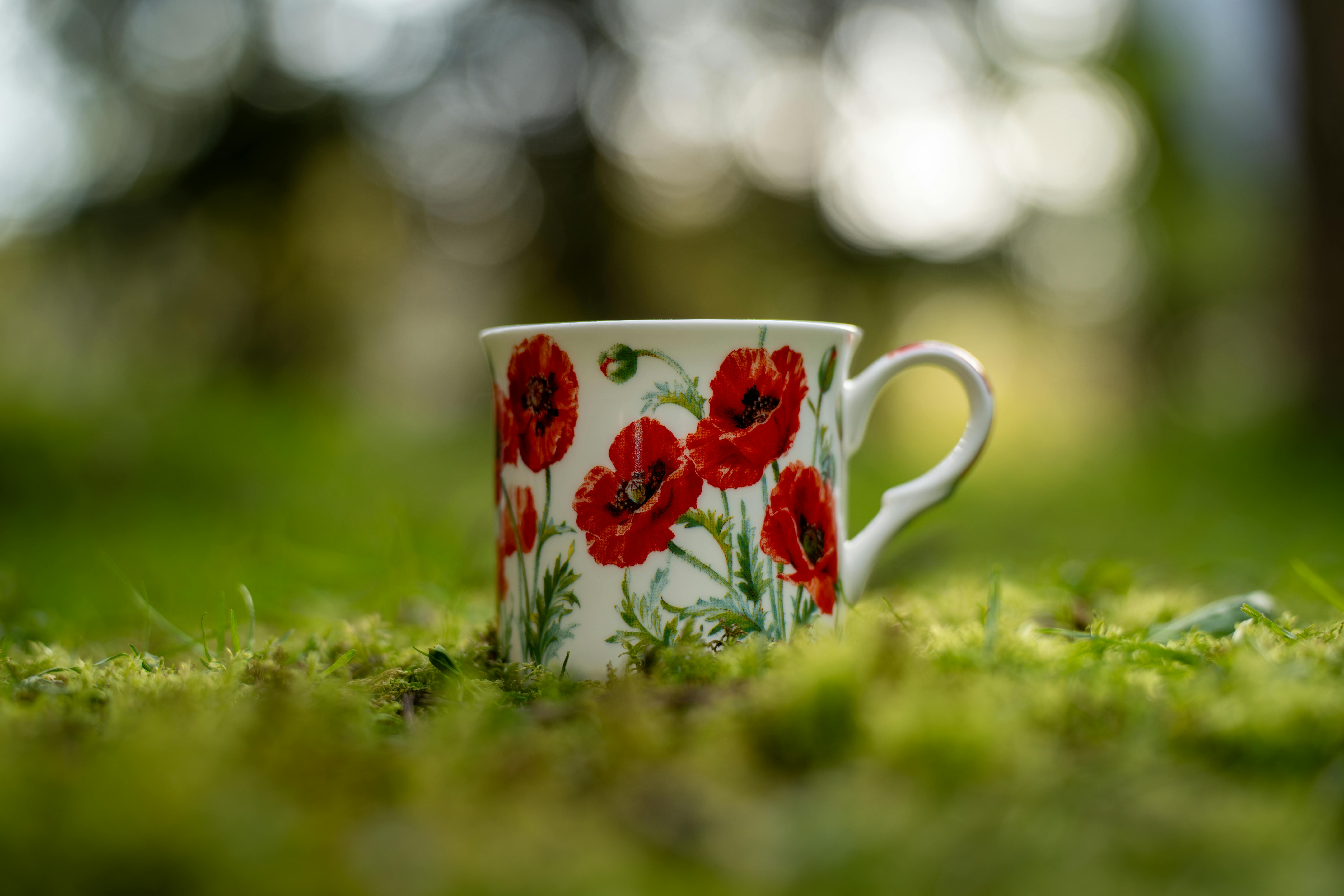 Ceramic Mug Photos Photos, Download The BEST Free Ceramic Mug Photos ...