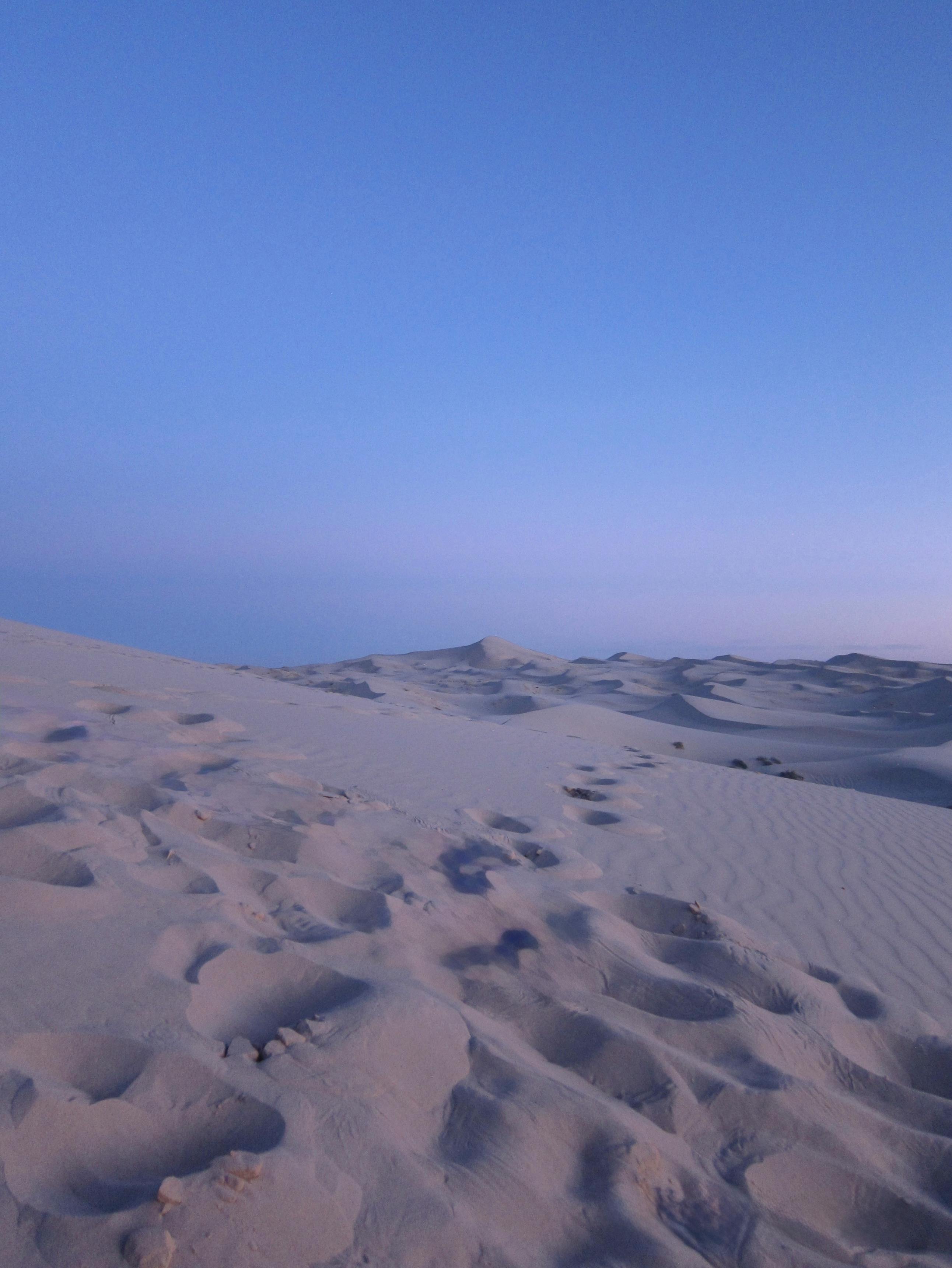 Packs De Mexico: Descubre Los Secretos Que Nadie Te Cuenta