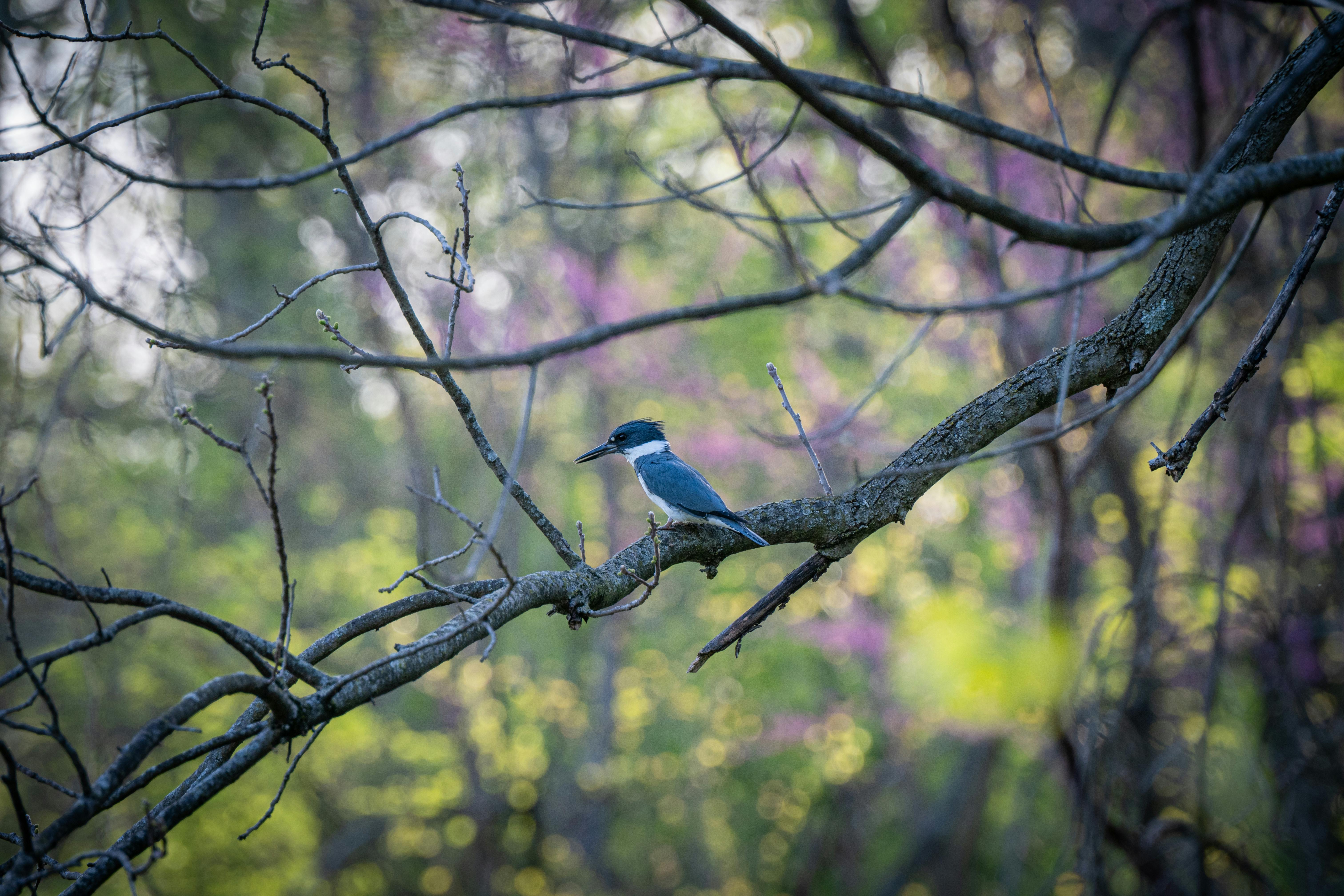 Tiny,+Skinny,+Small+Breasts Photos, Download The BEST Free Tiny,+Skinny,+Small+Breasts Stock ...