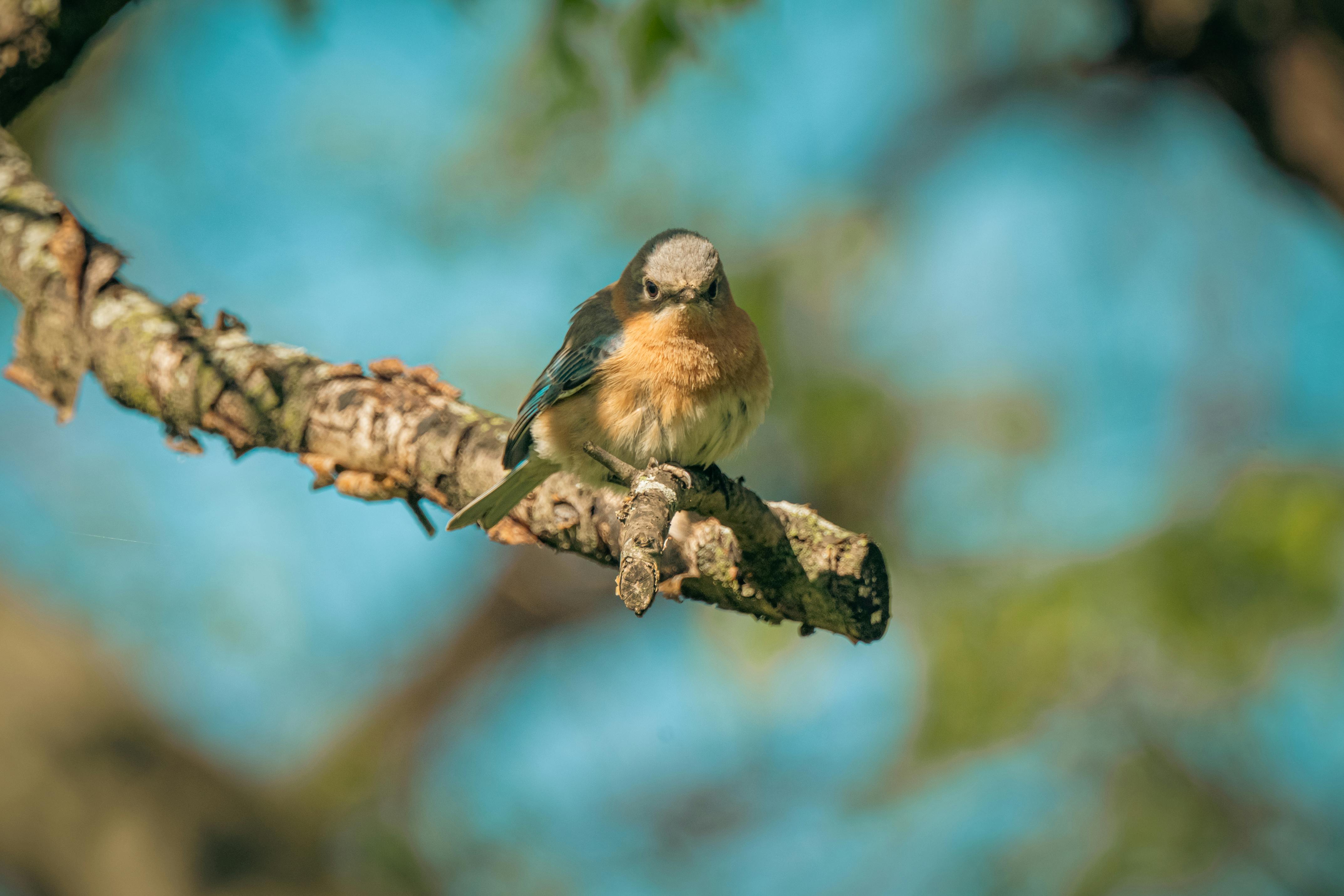 Repo Background Photos, Download The BEST Free Repo Background Stock ...