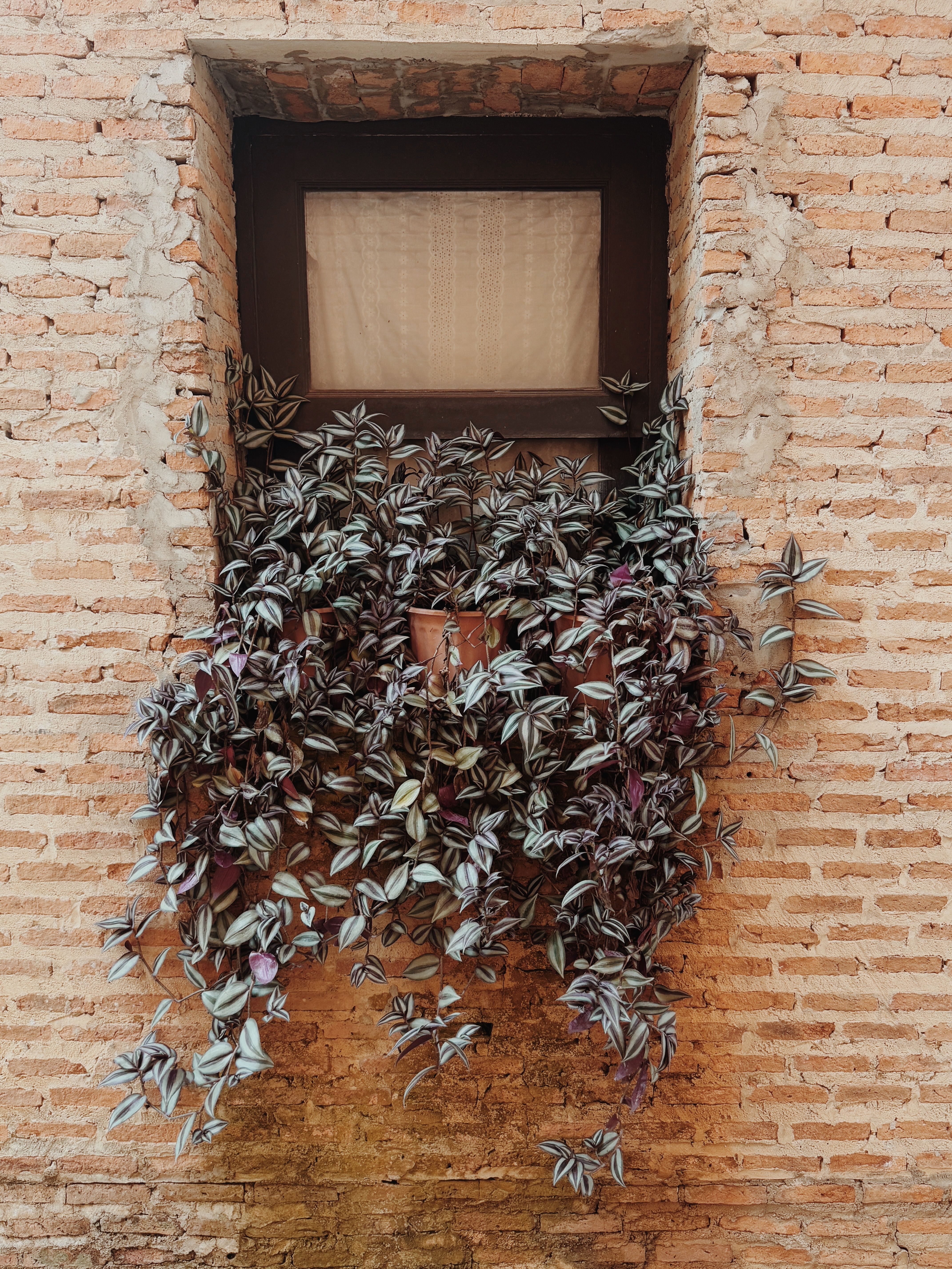 Building A Brick Wall Photos, Download The BEST Free Building A Brick ...