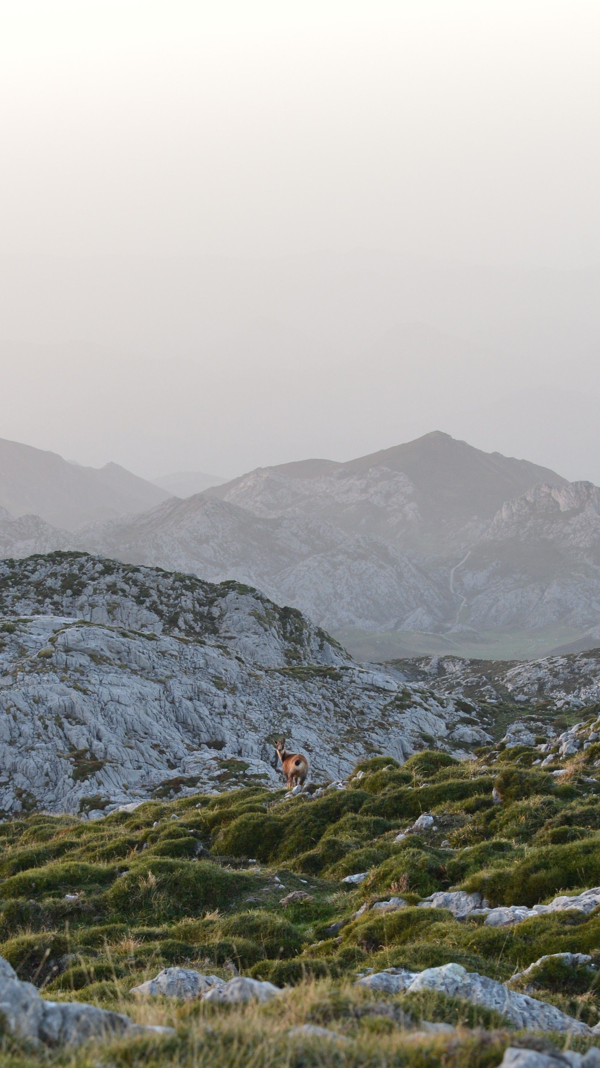 Scenic Sunset in Picos de Europa, Spain · Free Stock Photo