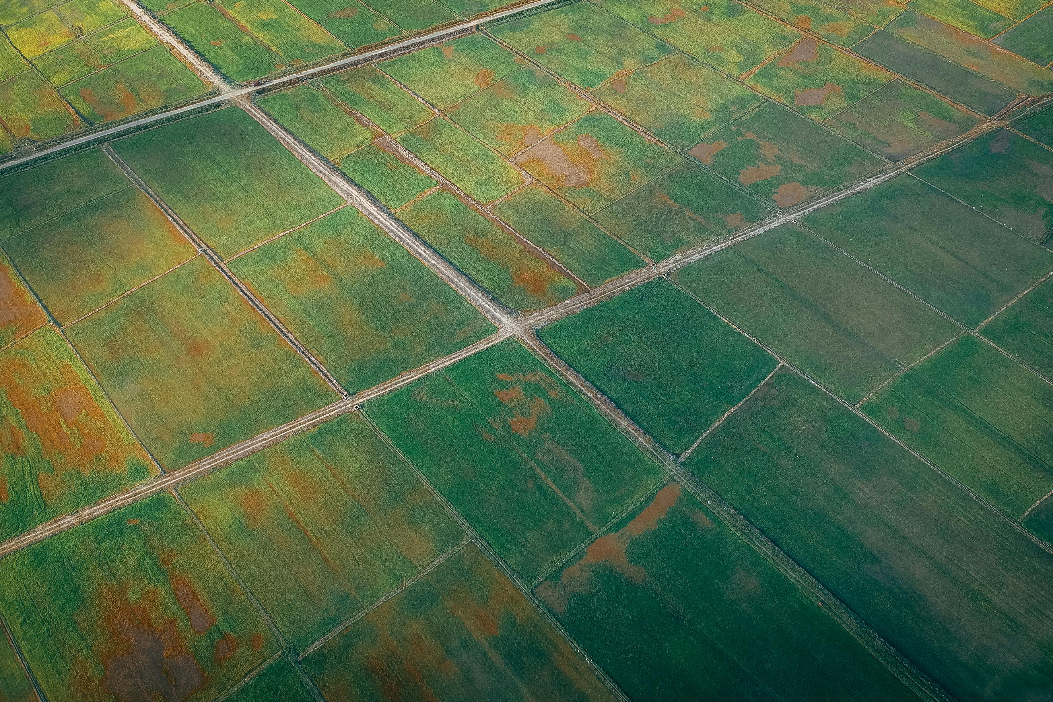 Aerial Shot Of Cropland · Free Stock Photo
