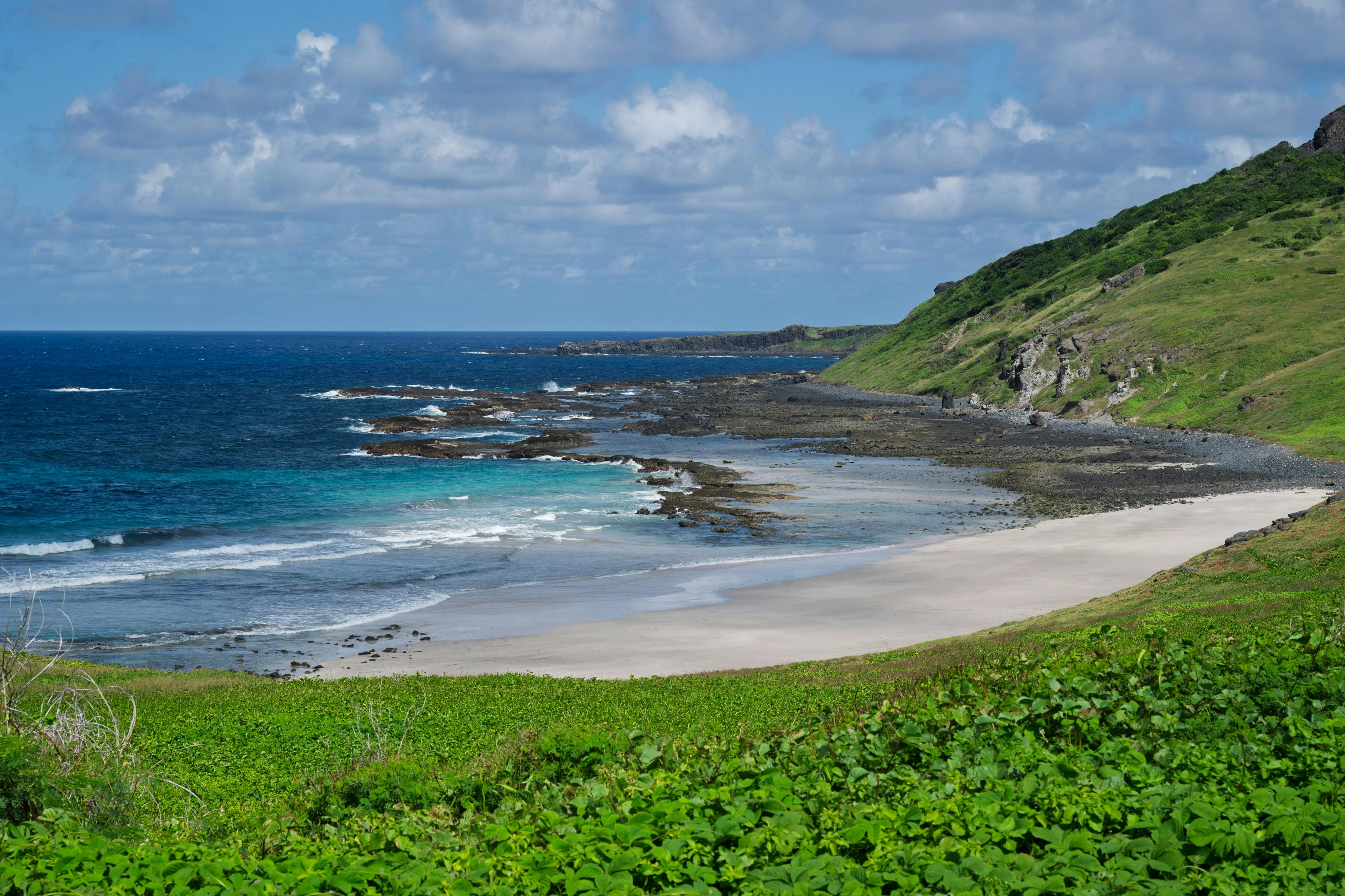 Cartoon Beach Photos, Download The BEST Free Cartoon Beach Stock Photos ...