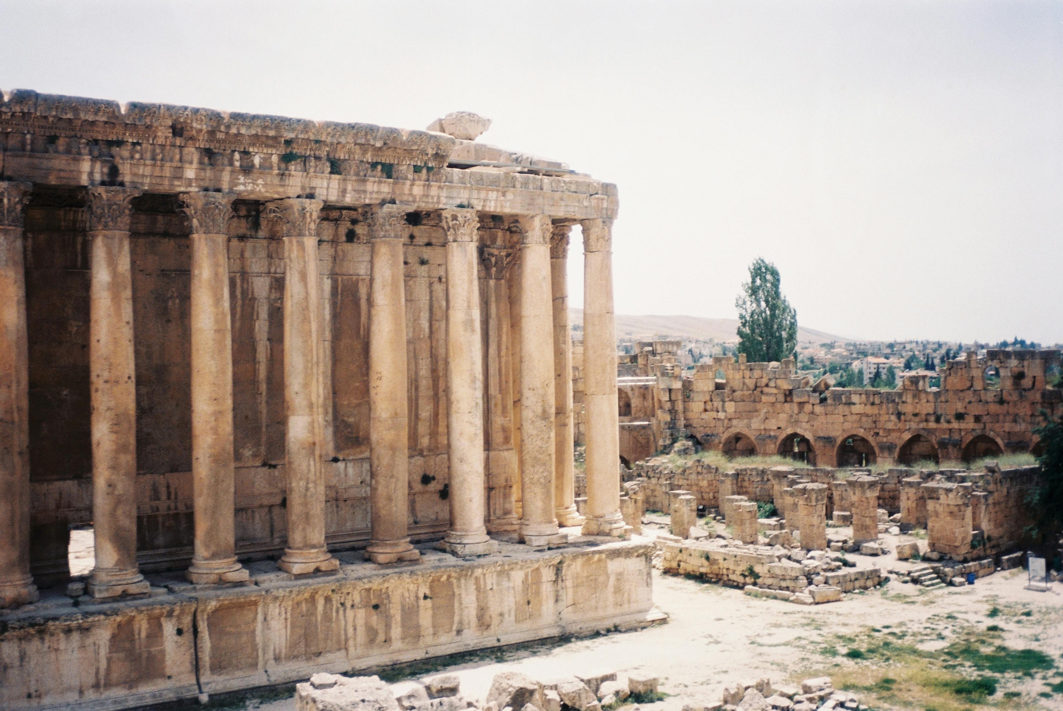 344+ Fotos y Imágenes de Baca และสีขาว Gratis · Banco de Fotos Gratis