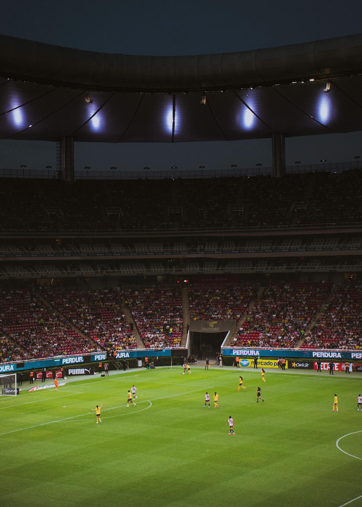 Stadium Crowd Photos, Download The BEST Free Stadium Crowd Stock Photos ...
