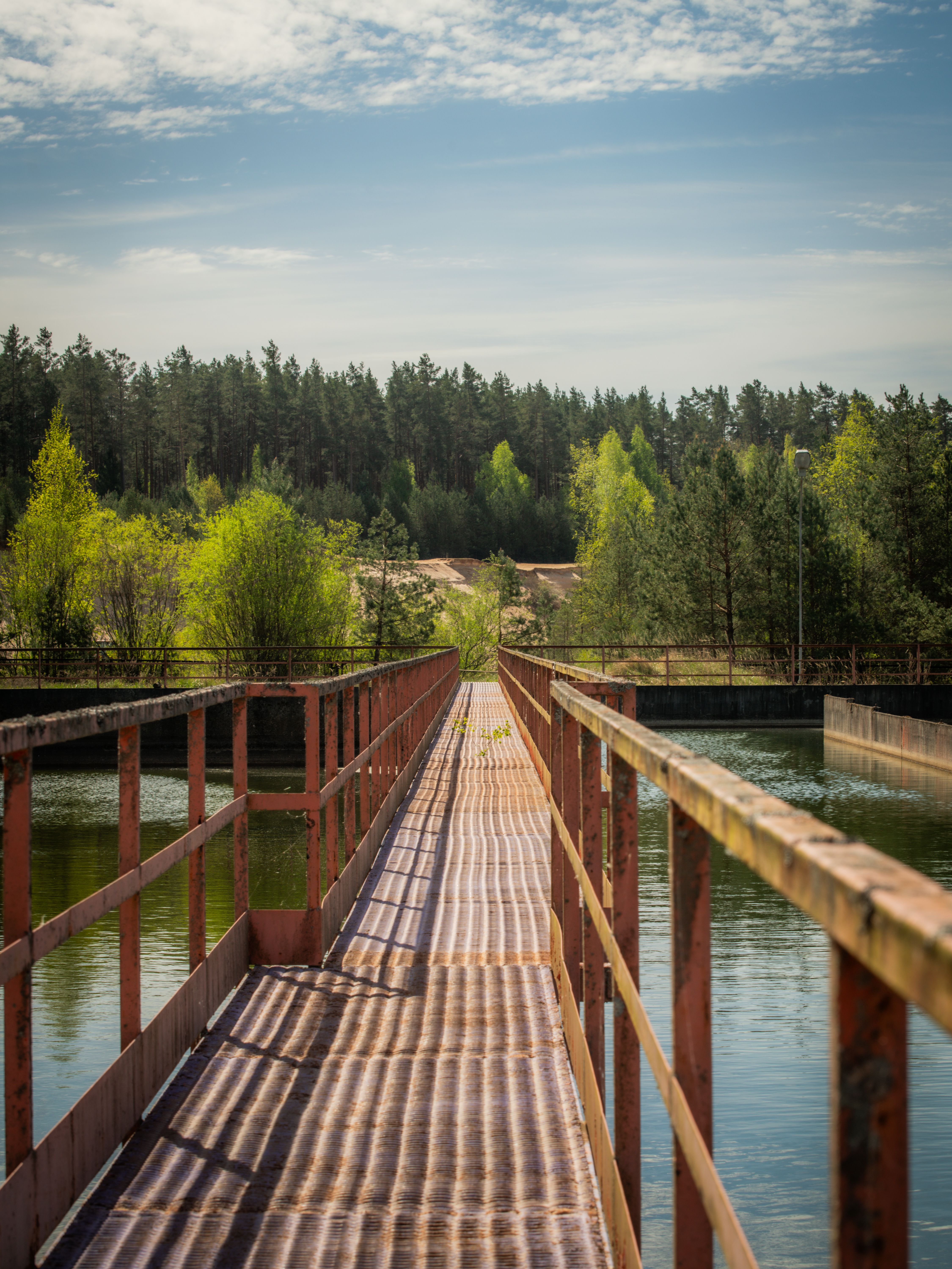 Rustic Bridge in Forested Quarry Setting · Free Stock Photo