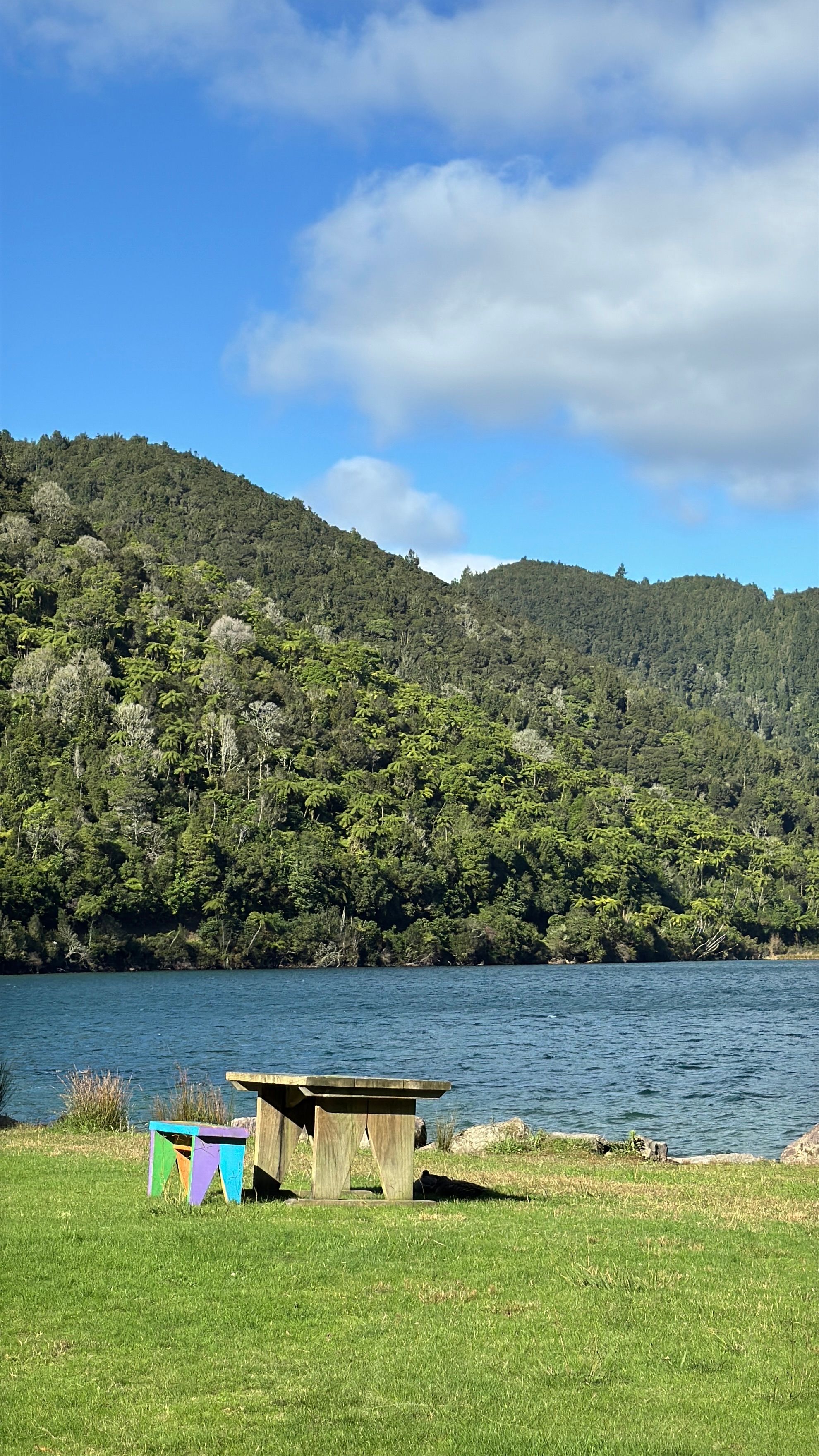 Tranquil Lakeside Picnic Area in Sunny Landscape · Free Stock Photo