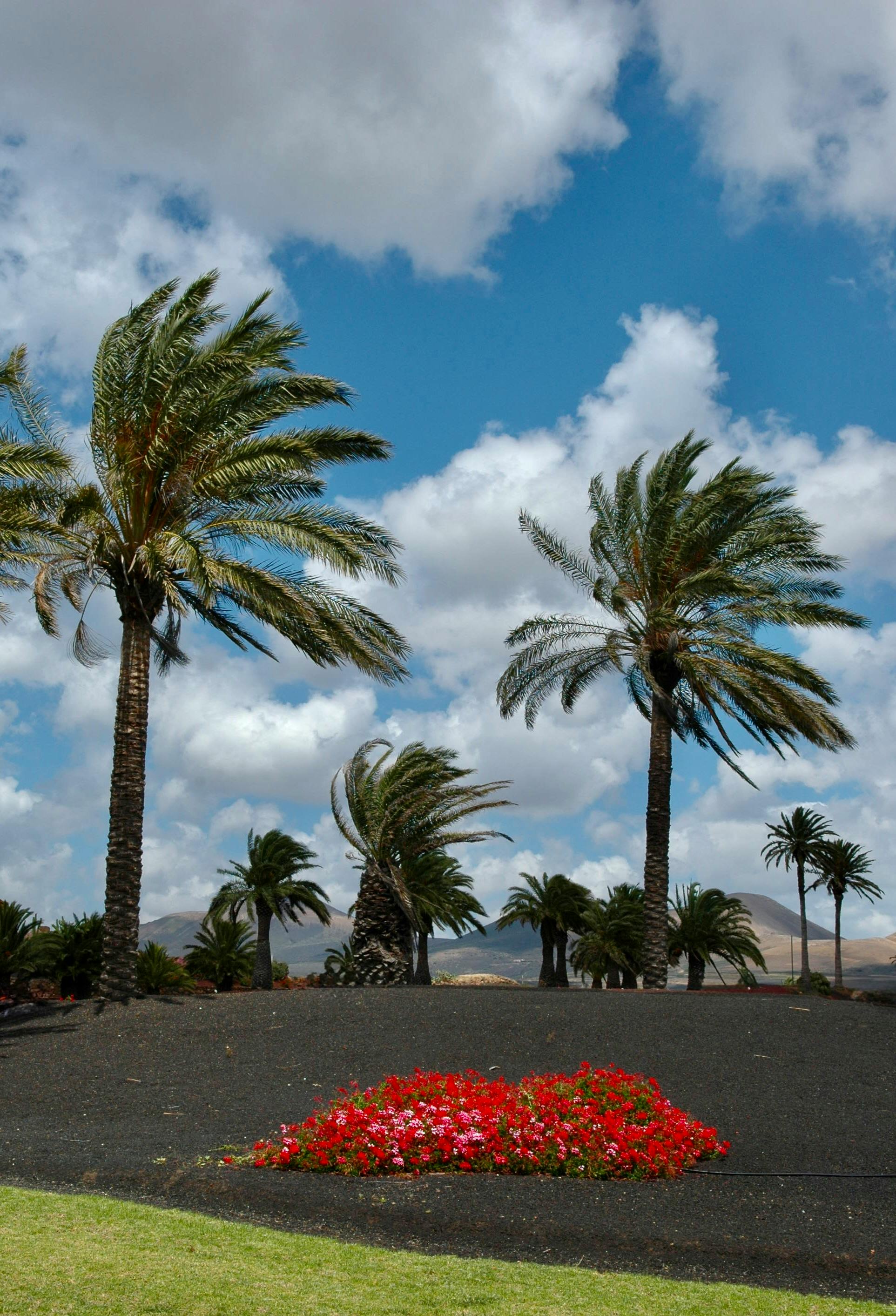 Rew Sun Landscape Photos, Download The BEST Free Rew Sun Landscape ...