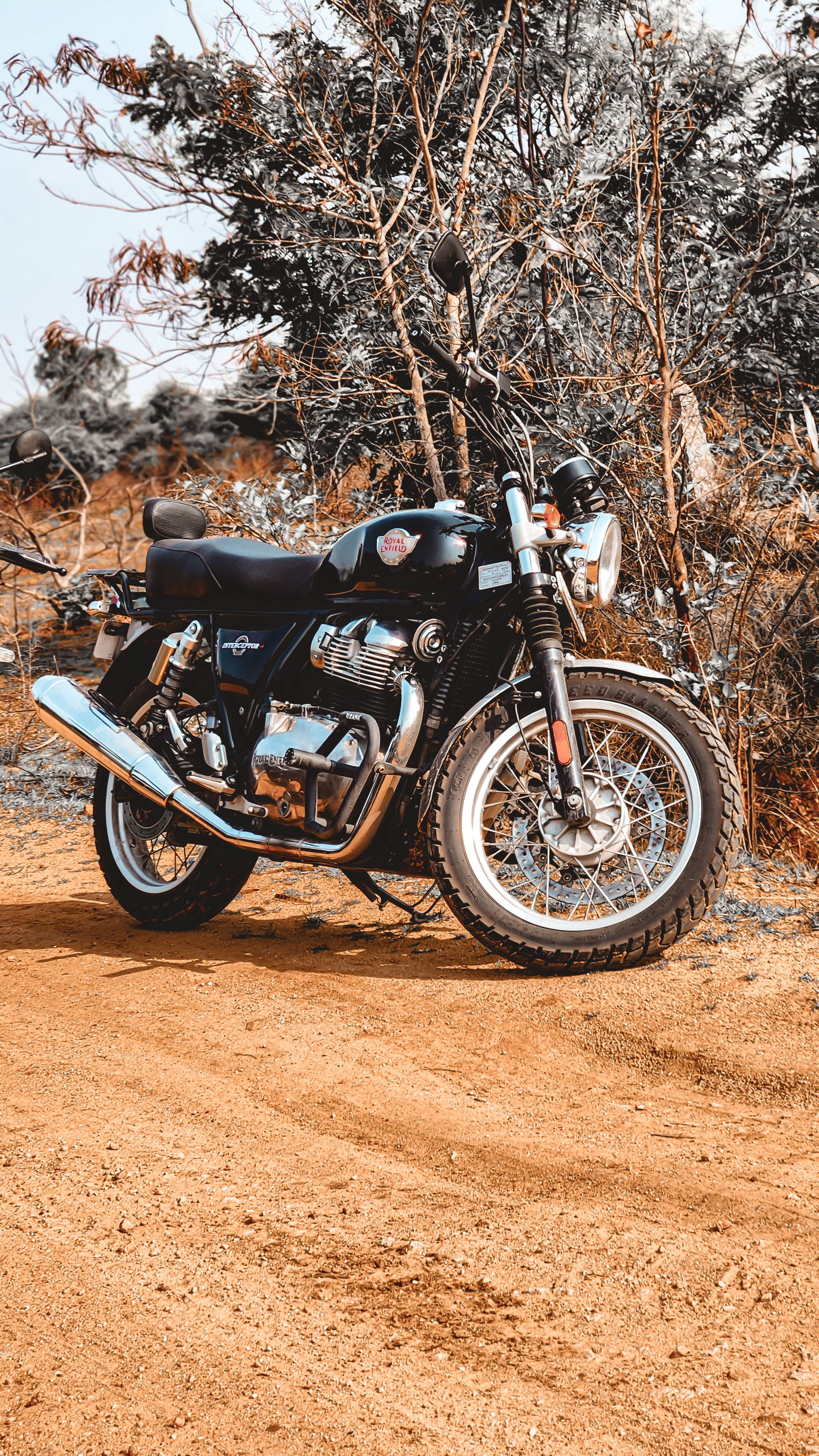 Two Classic Motorcycles Parked Outdoors · Free Stock Photo