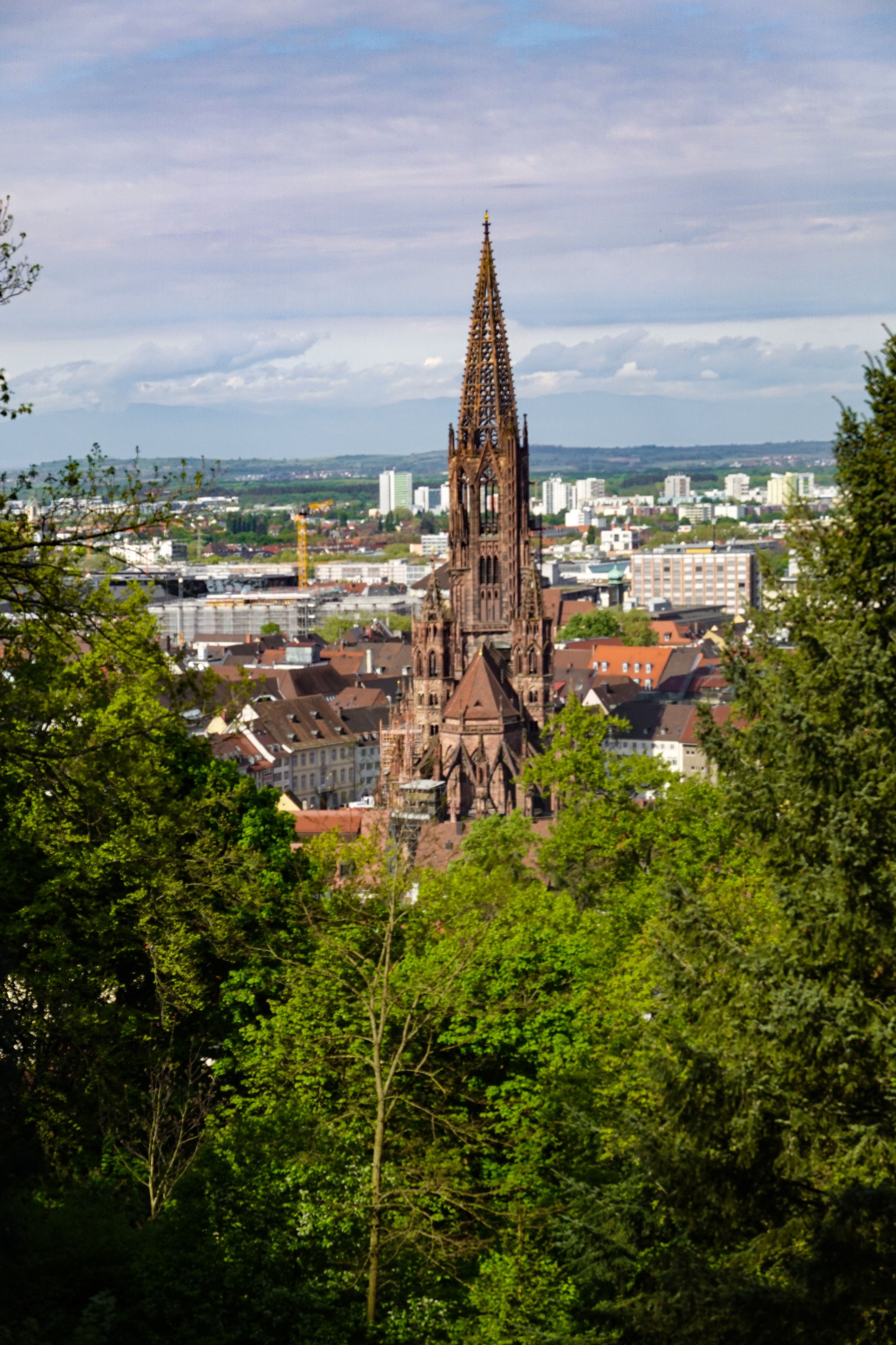 Stunning View of Freiburg Cathedral Amidst Cityscape · Free Stock Photo