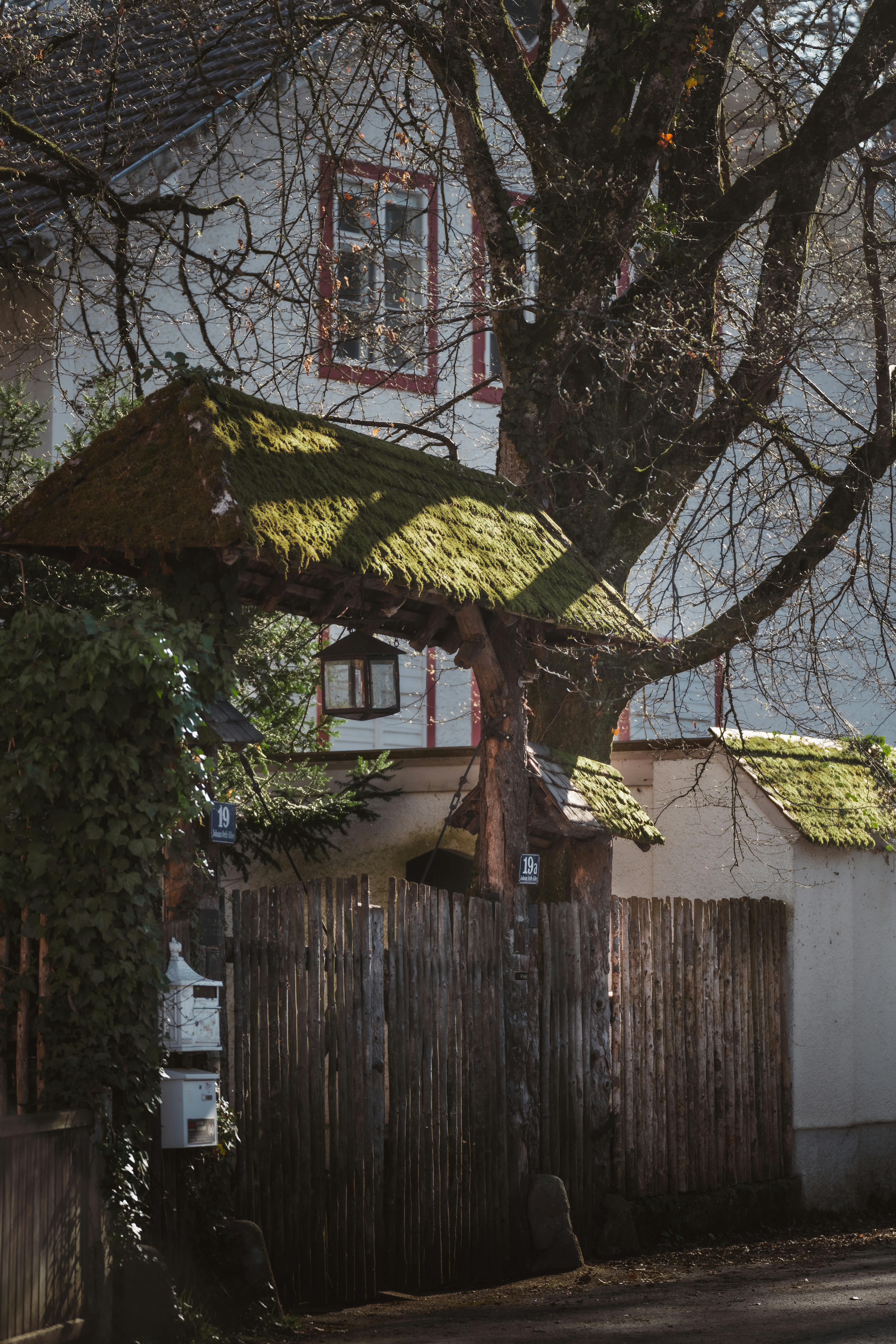 Unsplash Photos, Download The BEST Free Unsplash Stock Photos & HD Images