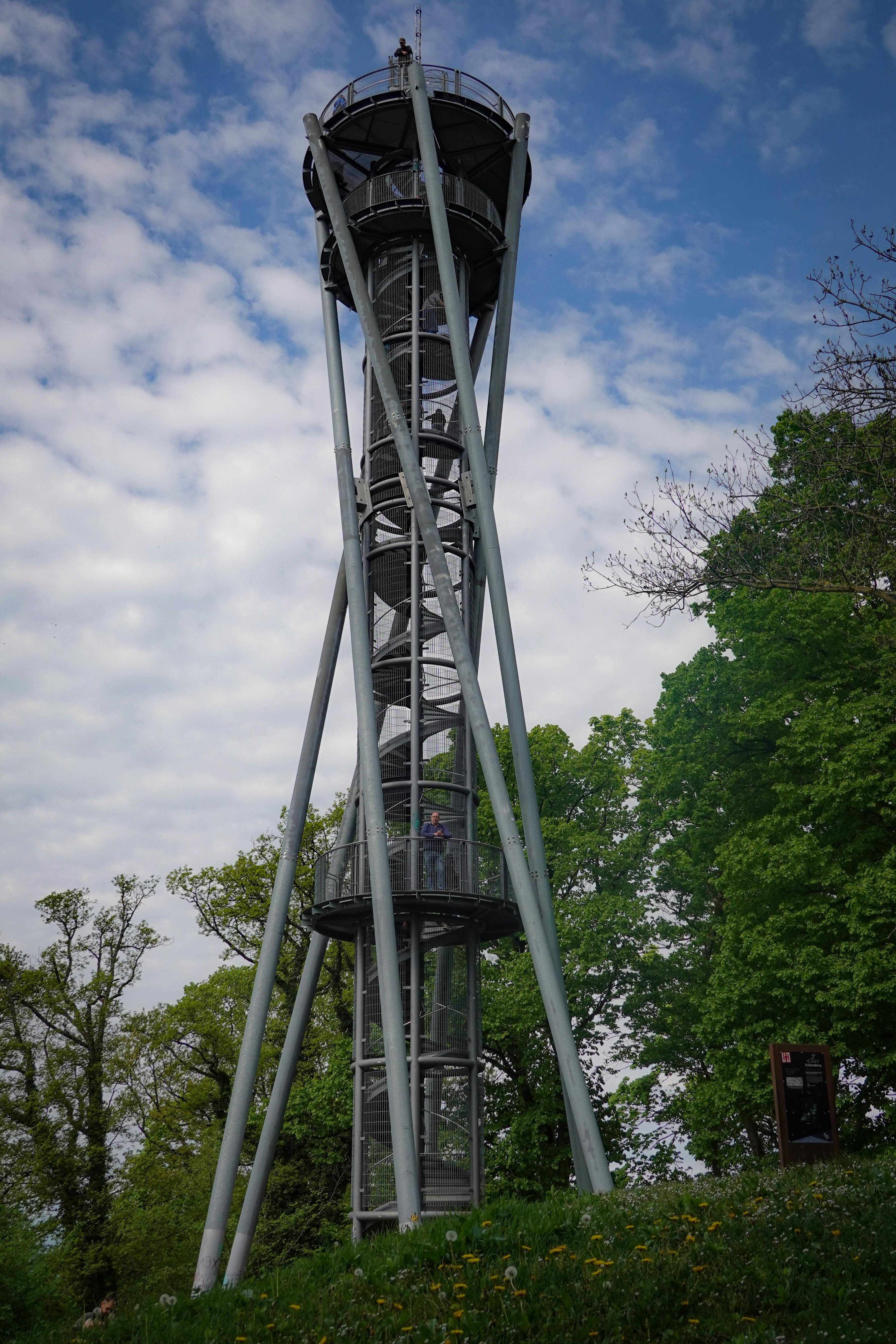 Modern Observation Tower Amidst Lush Greenery · Free Stock Photo