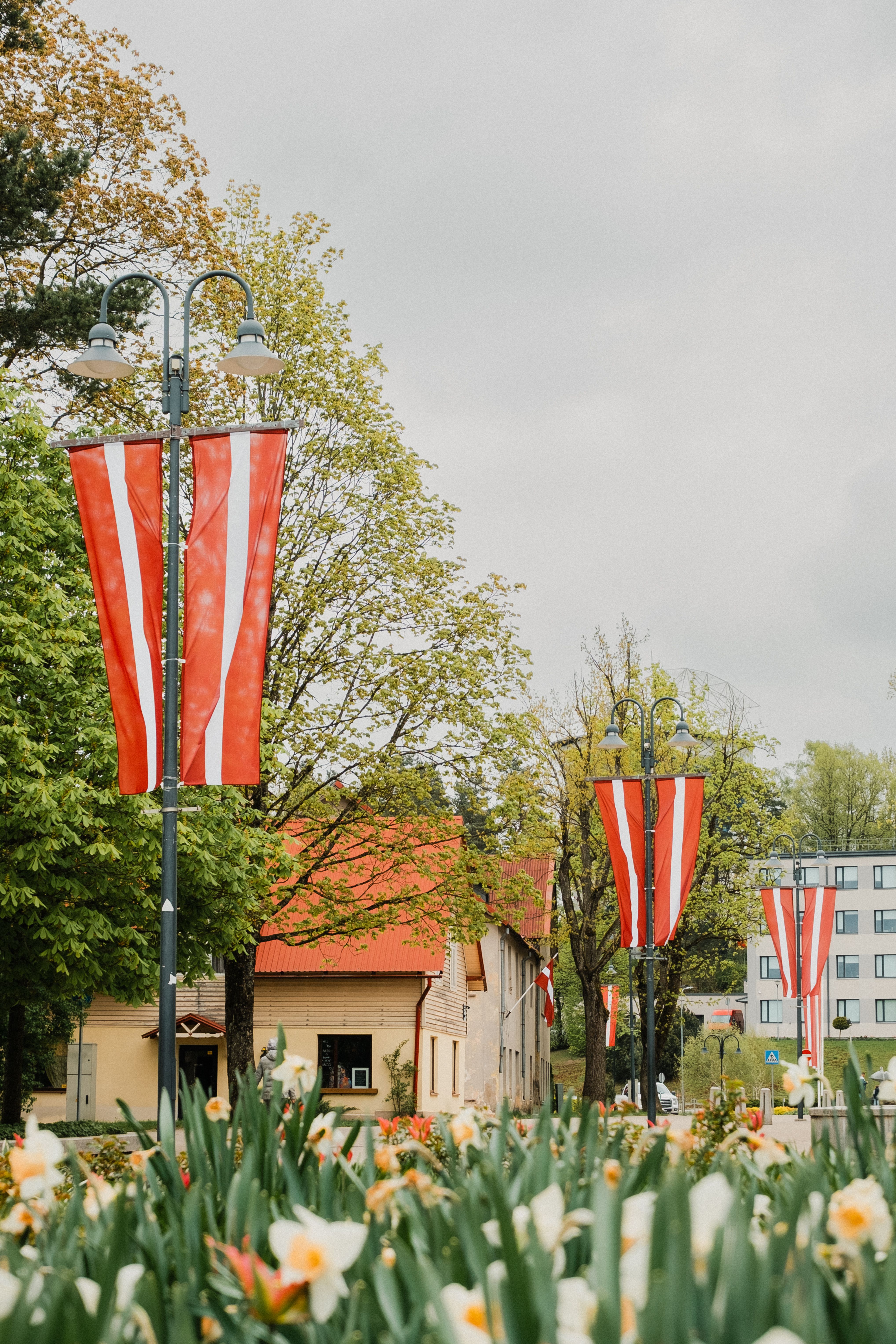 Striped Flags Photos, Download The BEST Free Striped Flags Stock Photos ...