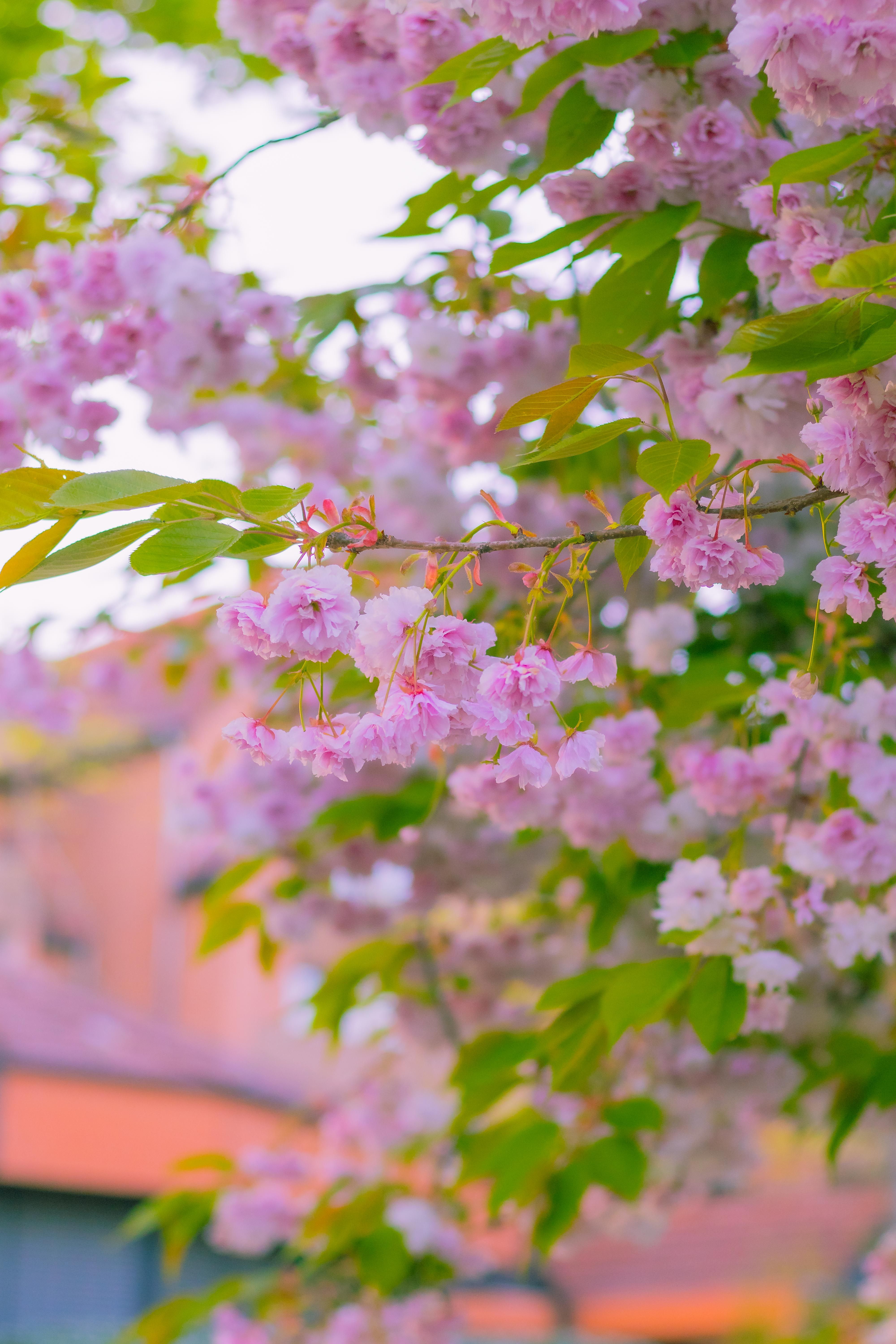 Aesthetics Photos, Download The BEST Free Aesthetics Stock Photos & HD ...