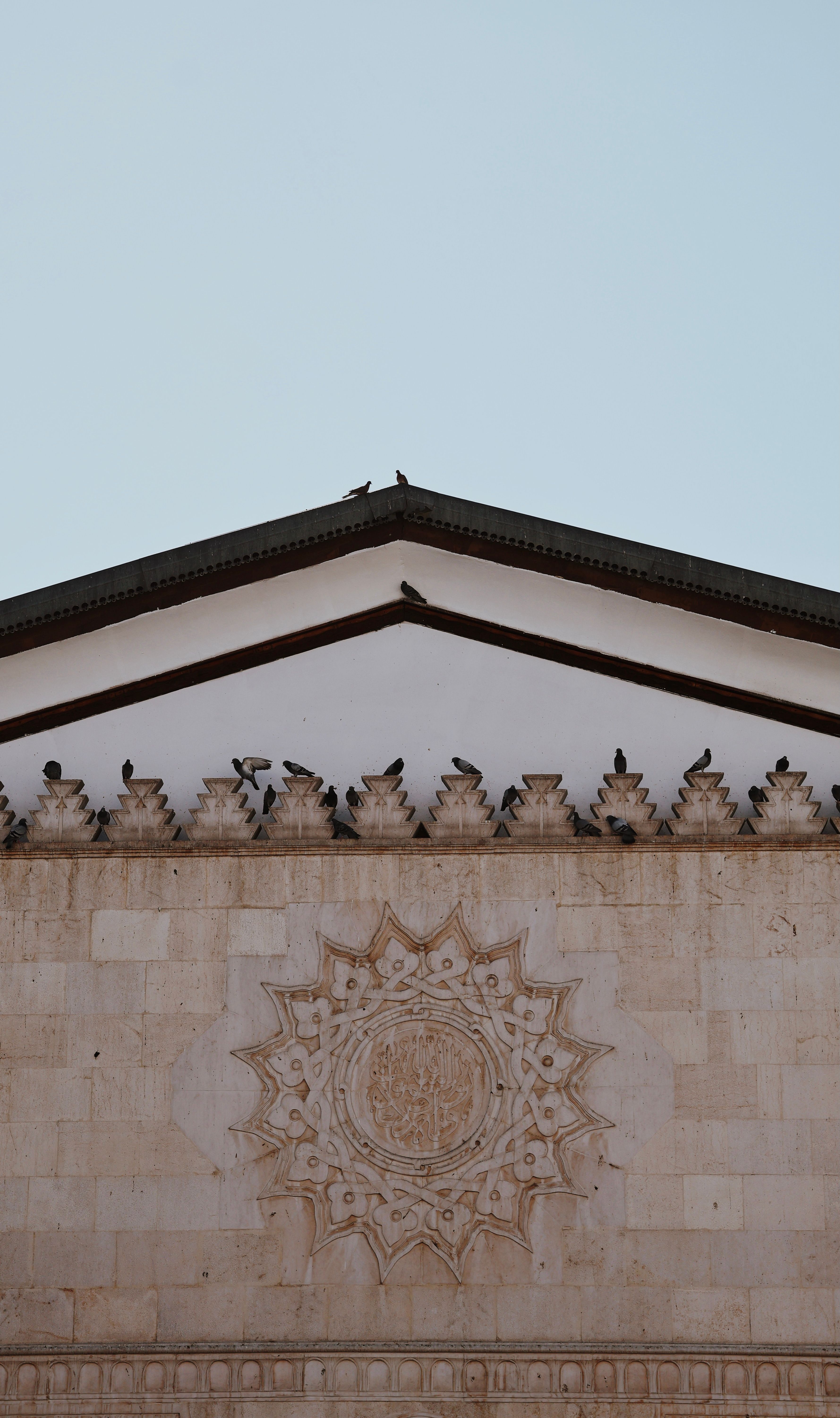 Eaves Dropping Photos, Download The BEST Free Eaves Dropping Stock ...