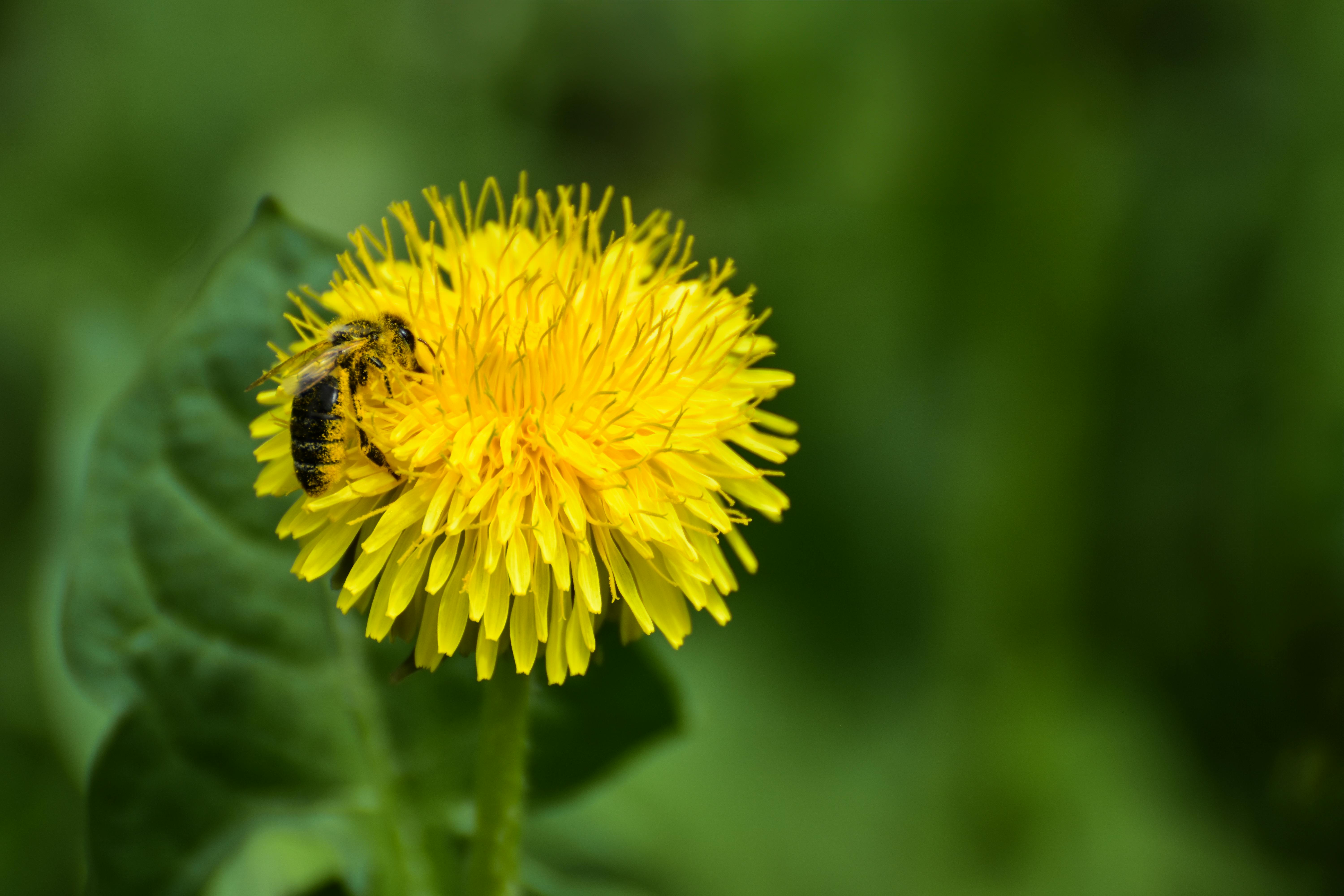 Openai、API専用の最新モデル「Gpt 4.1」公開 Photos, Download The BEST Free Openai、API ...