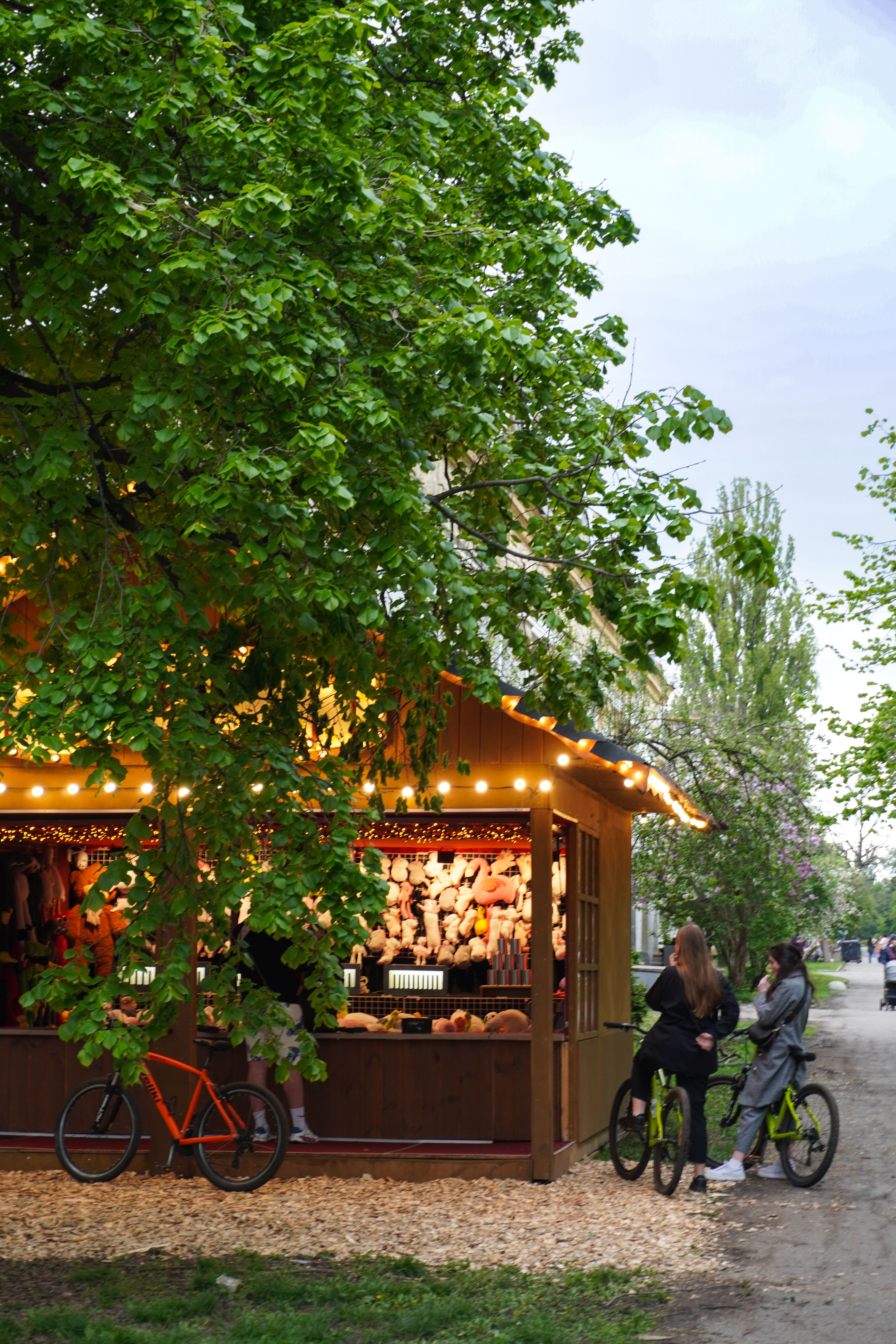 Charming Evening at a Kyiv Fairground · Free Stock Photo