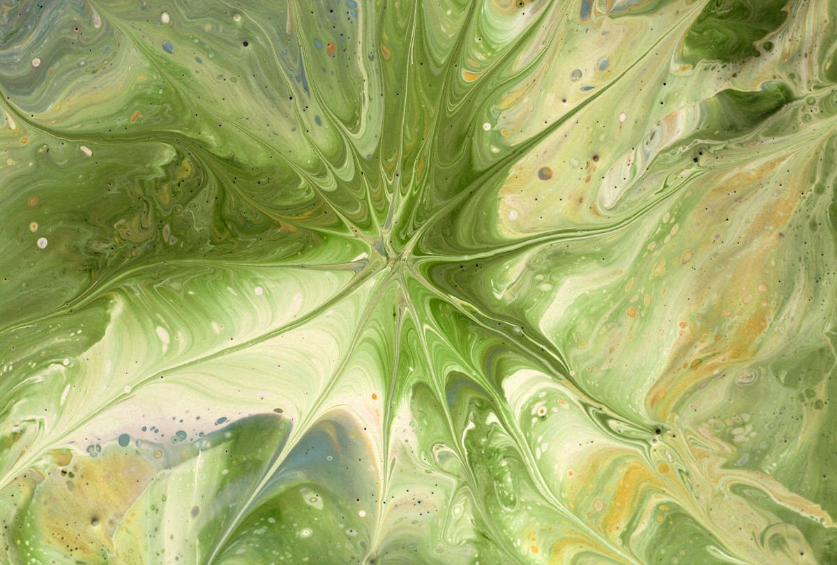 Green Art Photos, Download The BEST Free Green Art Stock Photos & HD Images