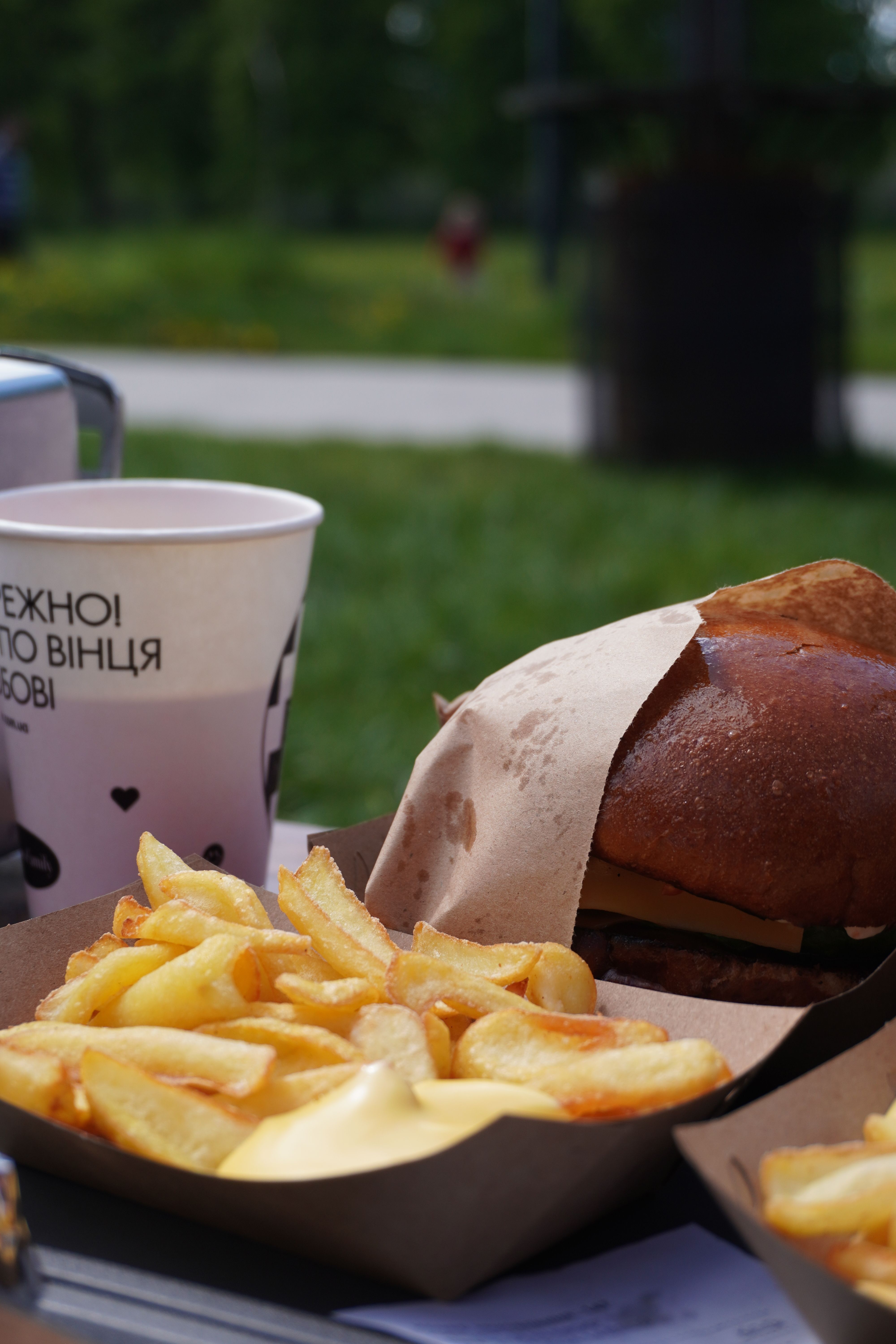 Outdoor Picnic with Burger and Crispy Fries · Free Stock Photo
