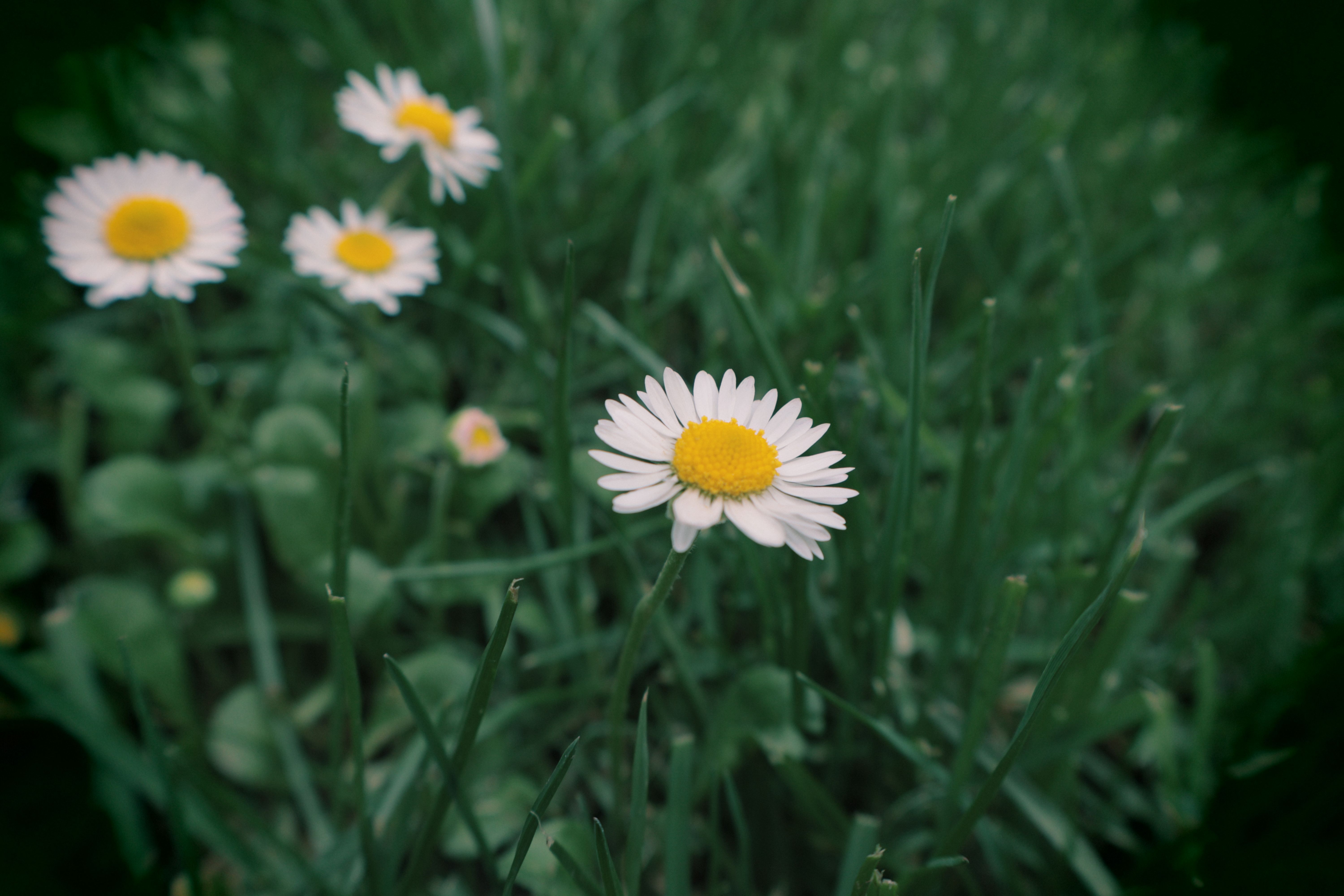 C4k Wallpaper Photos, Download The BEST Free C4k Wallpaper Stock Photos ...