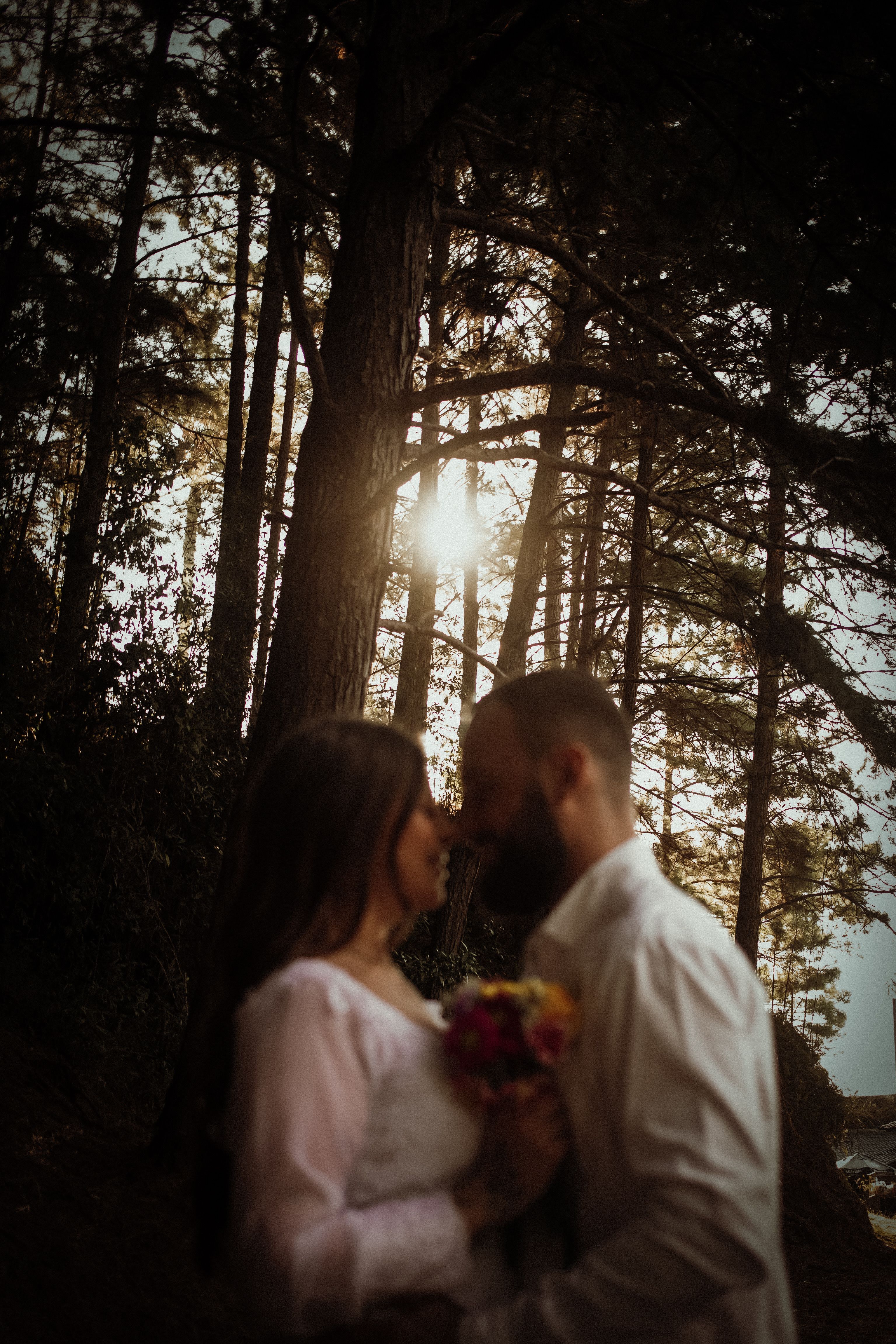Romantic Couple Embracing in Sunlit Forest · Free Stock Photo