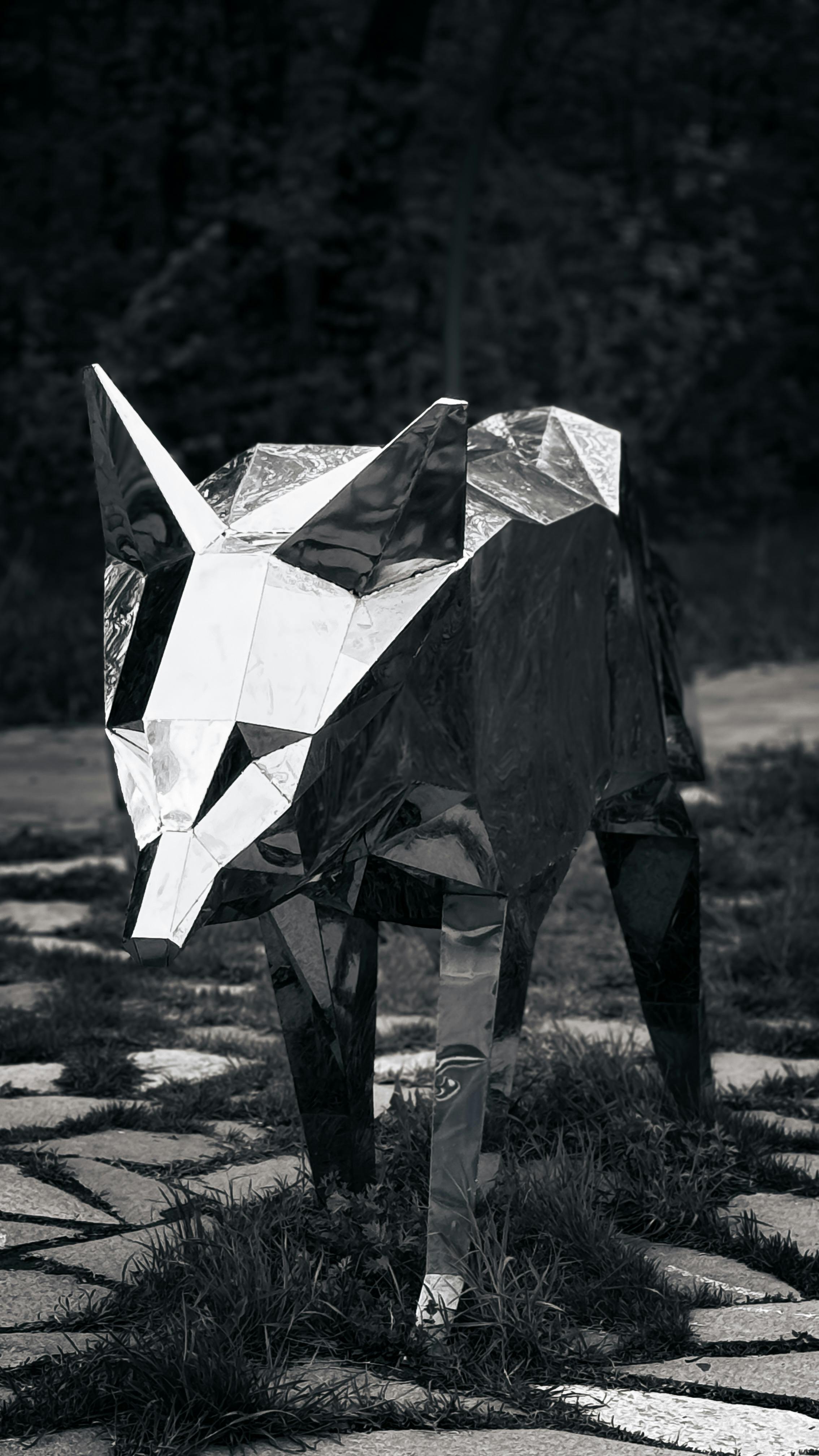 Sigma Wolf Photos, Download The BEST Free Sigma Wolf Stock Photos & HD ...