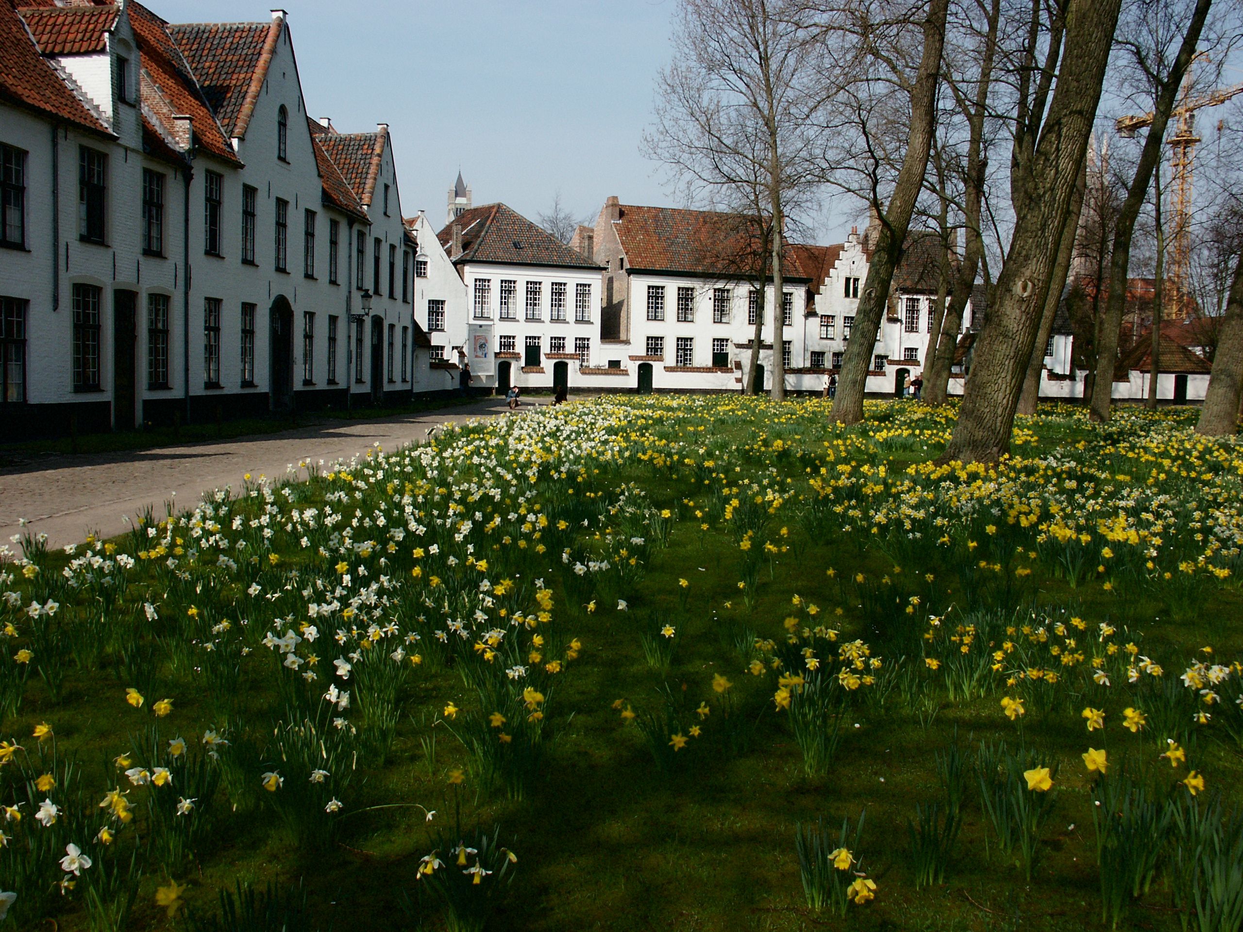 Springtime at Begijnhof in Brugge, Belgium · Free Stock Photo