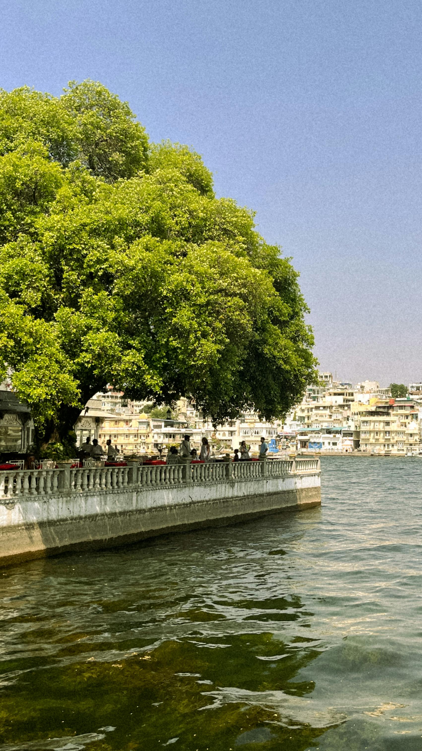 Henil Patel - 사진