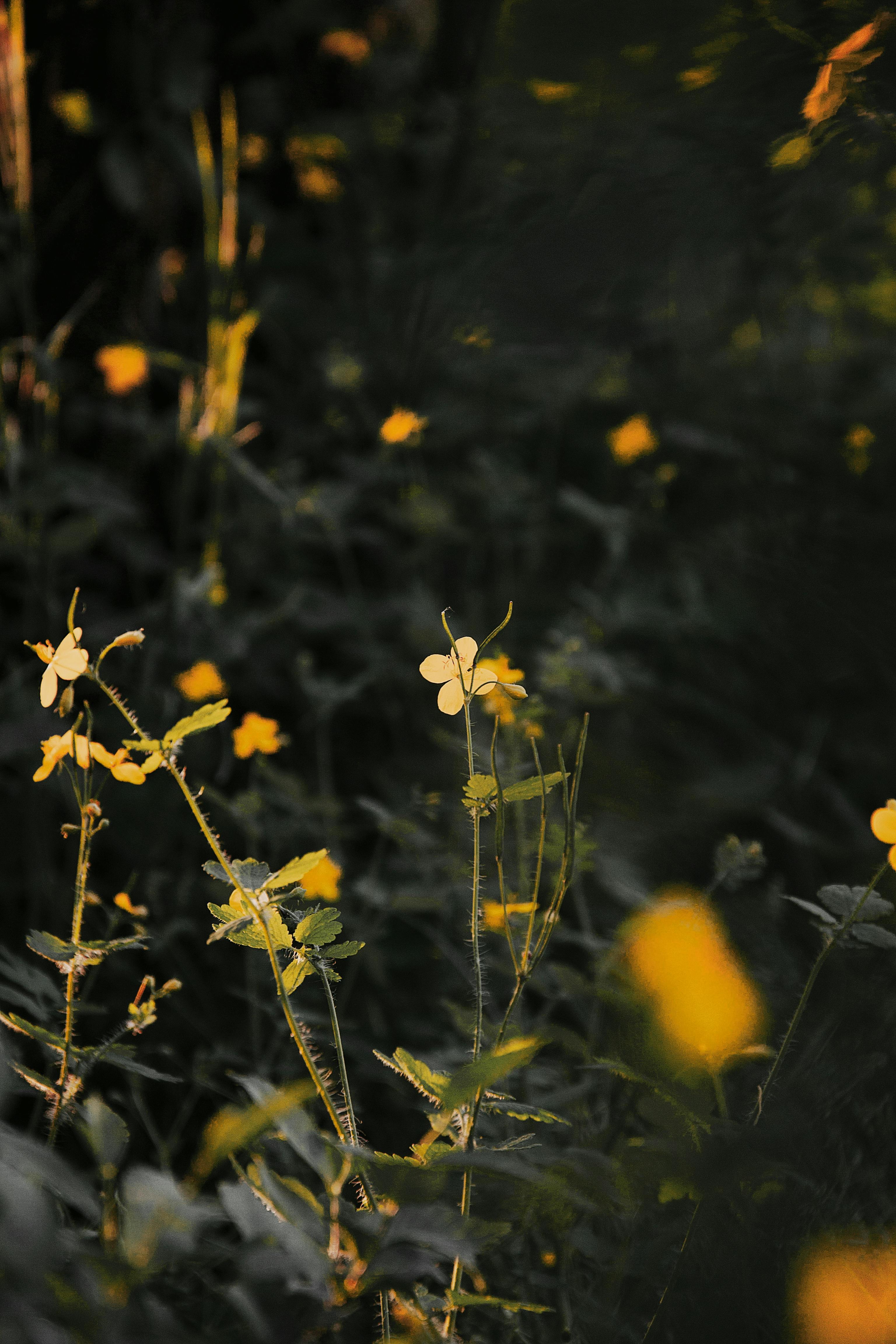 Tip+Screen+Image Photos, Download The BEST Free Tip+Screen+Image Stock ...