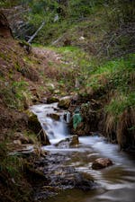 1,000+ Best Brook Photos · 100% Free Download · Pexels Stock Photos