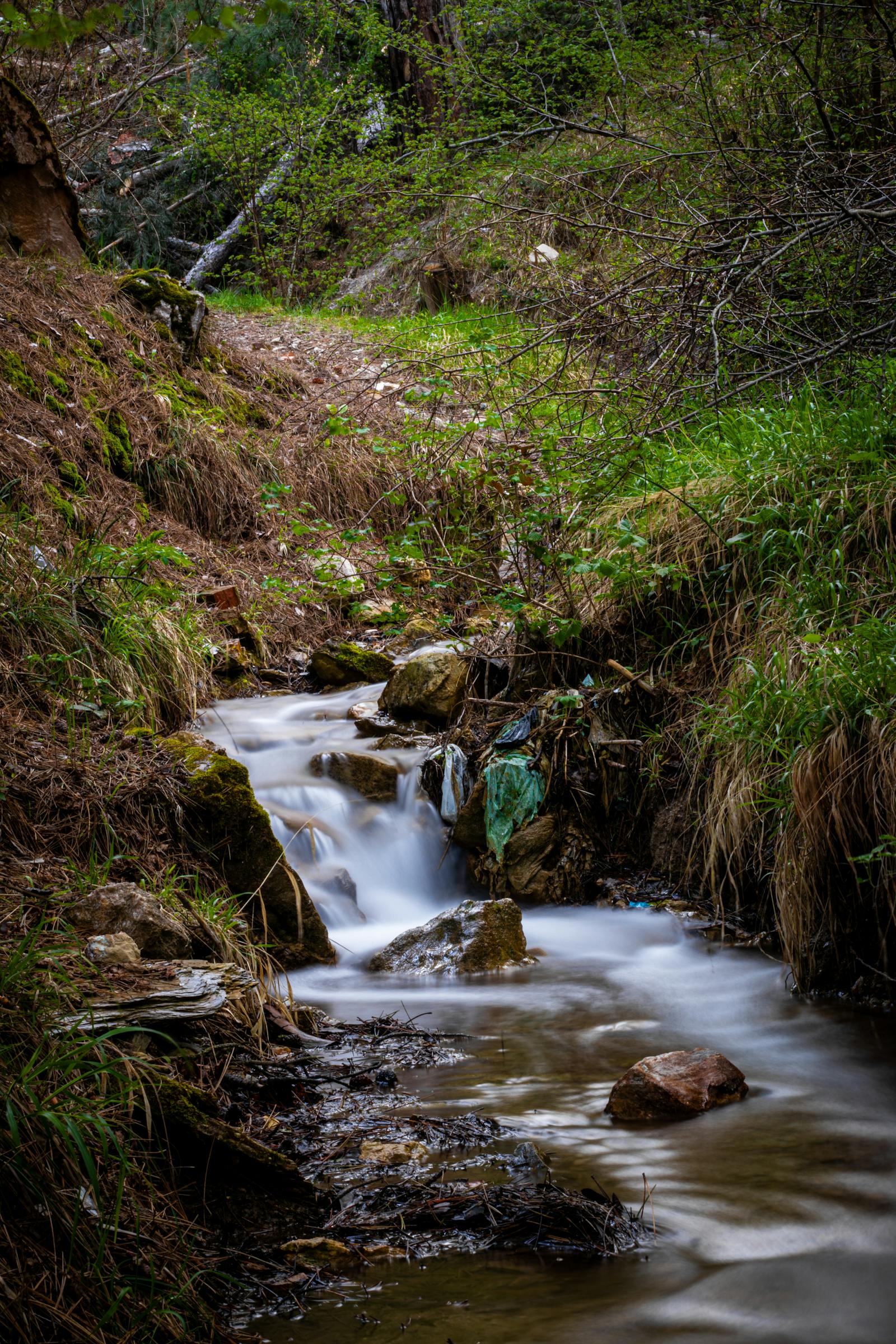 1,000+ Best Brook Photos · 100% Free Download · Pexels Stock Photos