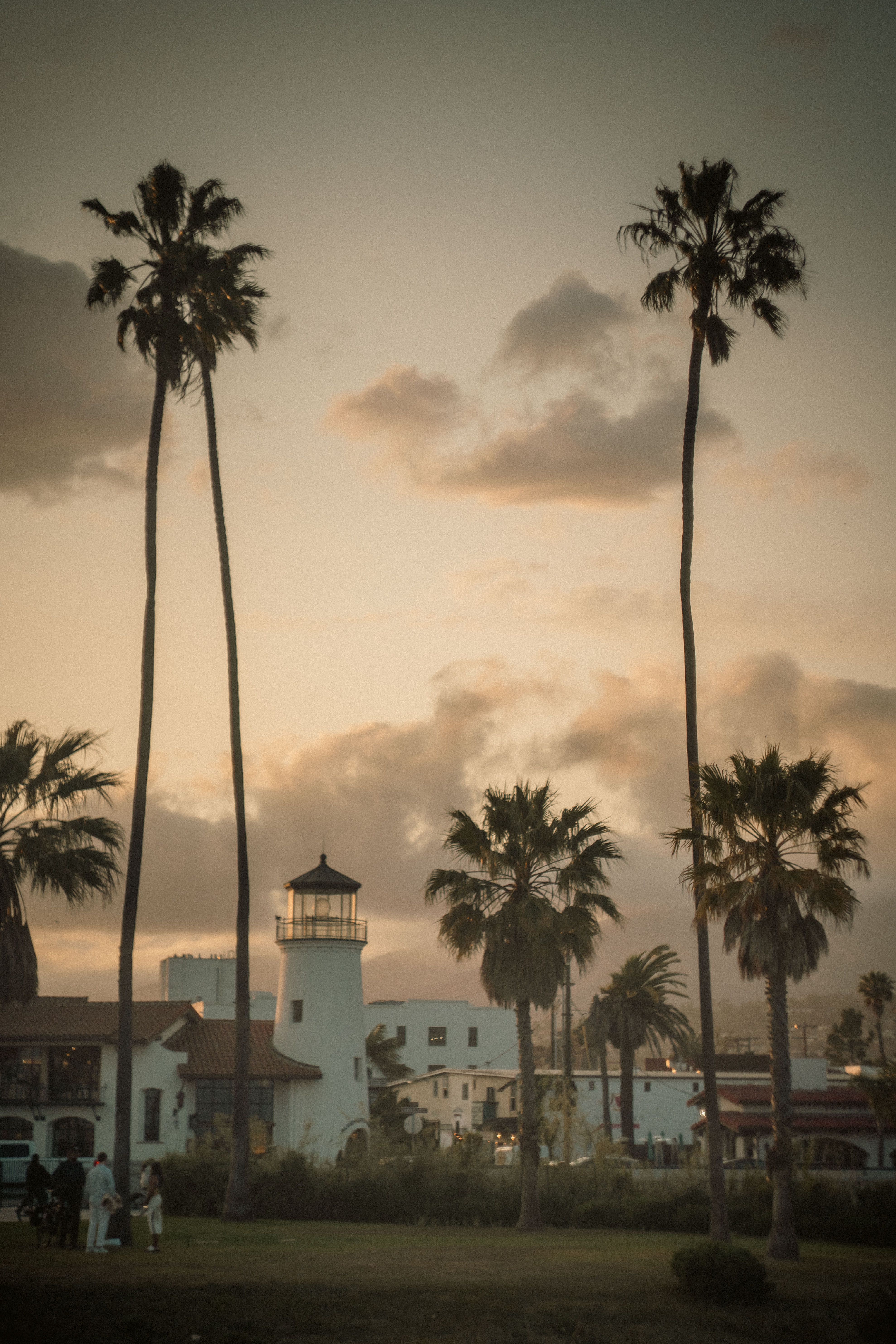 Scenic Lighthouse View with Palm Trees at Sunset · Free Stock Photo