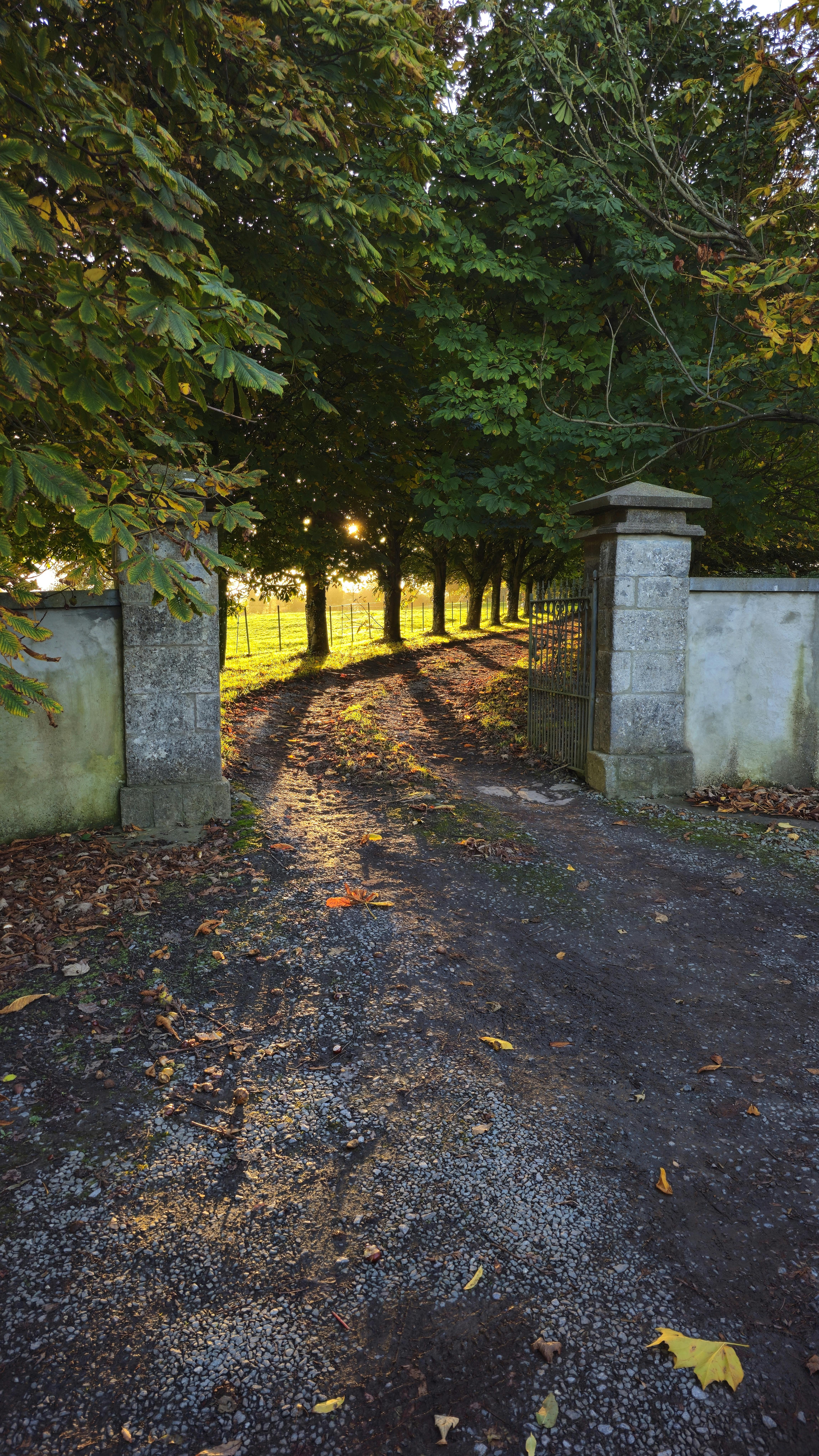 Countryside Gate Photos, Download The BEST Free Countryside Gate Stock ...