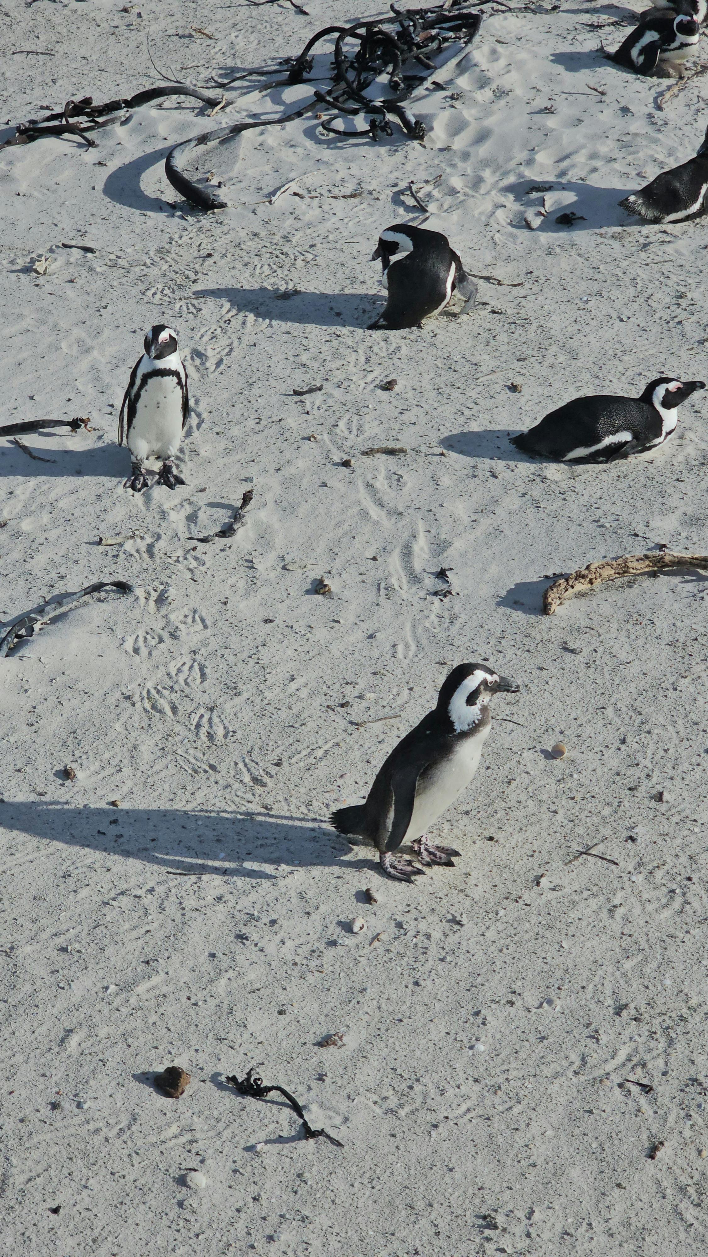 Oceane+Dreams Photos, Download The BEST Free Oceane+Dreams Stock Photos ...