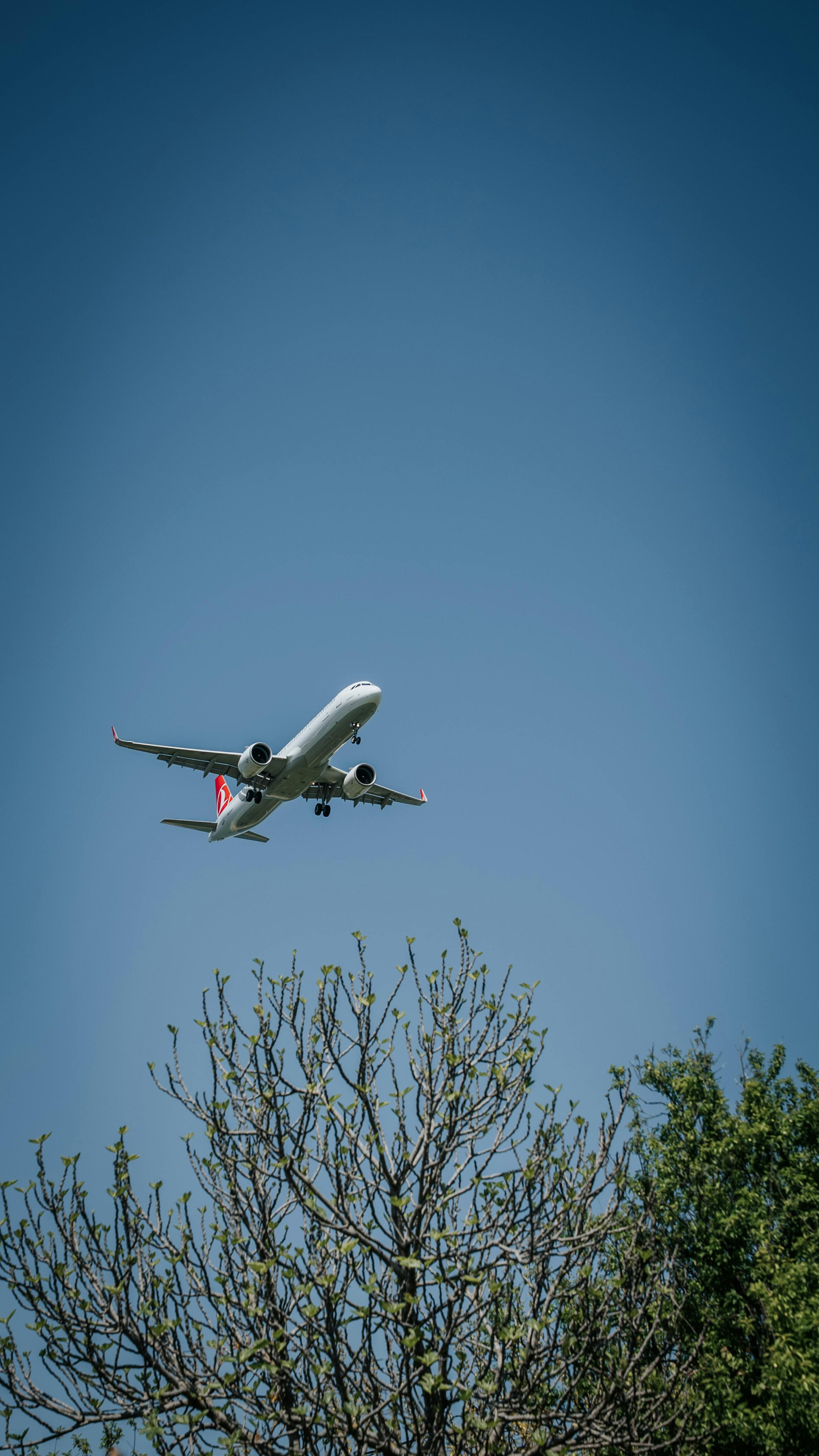 Spring Plane Background Photos, Download The BEST Free Spring Plane ...