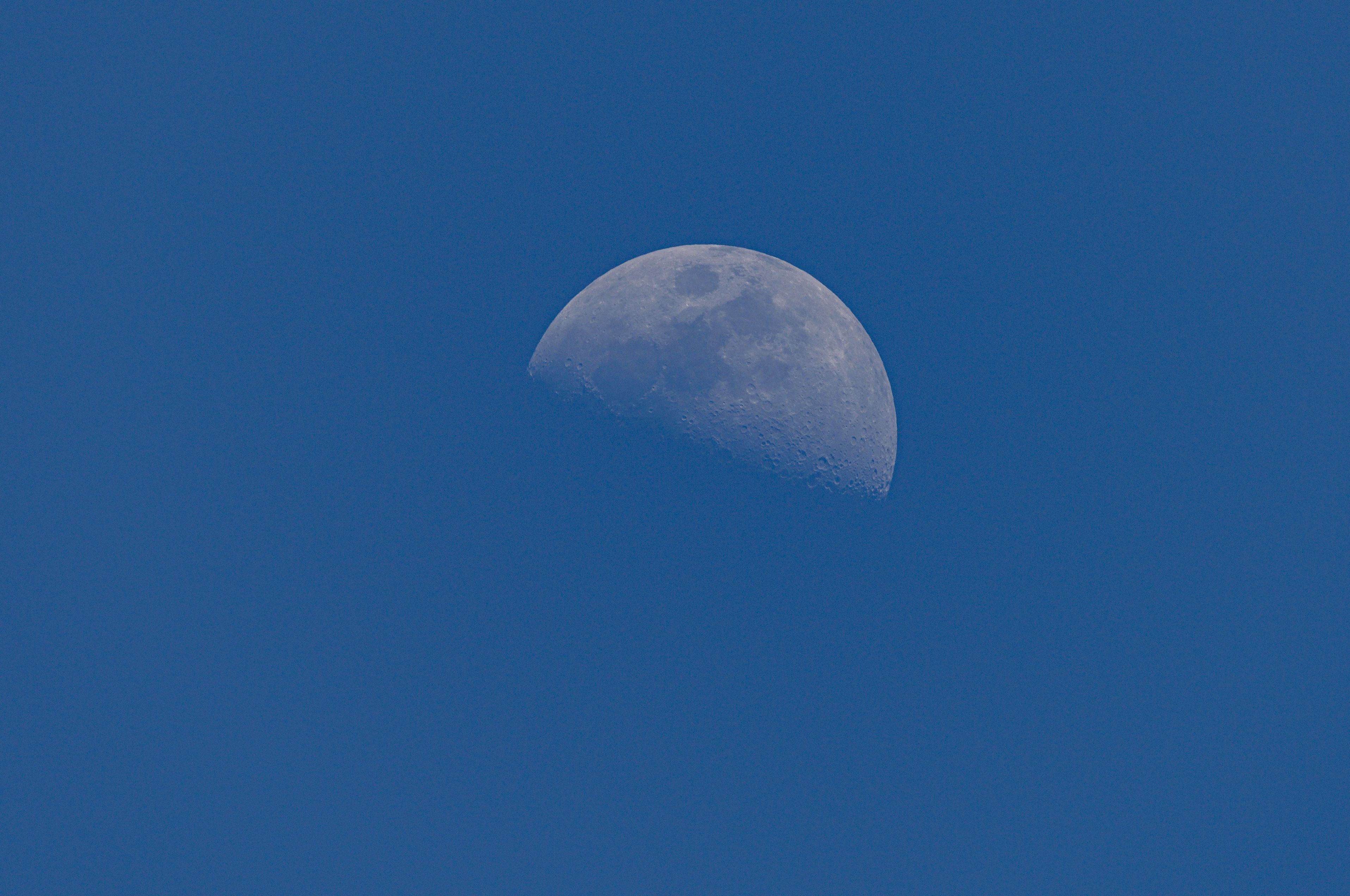 Clear Daytime Half Moon in Canonsburg, PA · Free Stock Photo