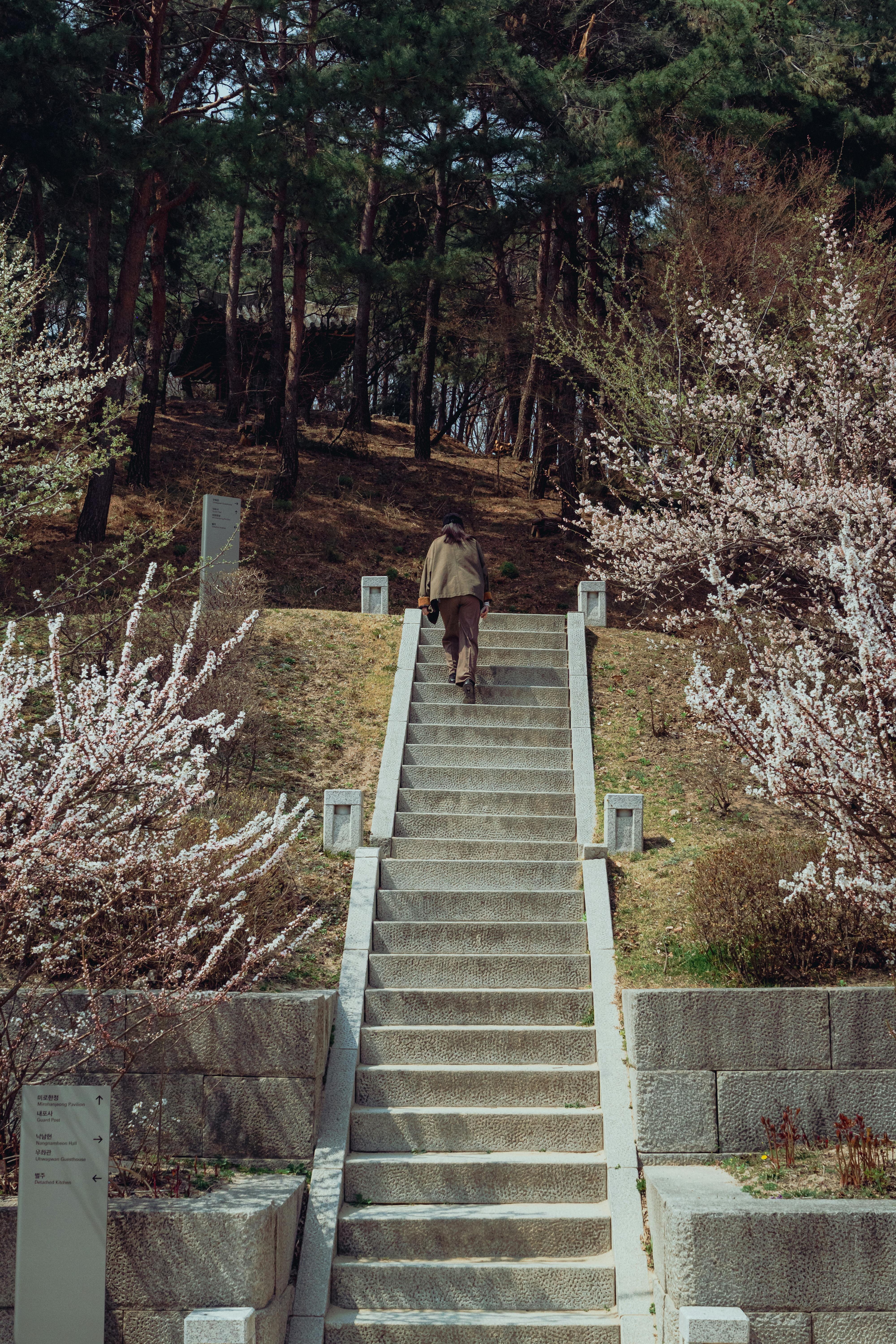 1006 Touching.Mp4 Ccflight Steps Photos, Download The BEST Free 1006 ...