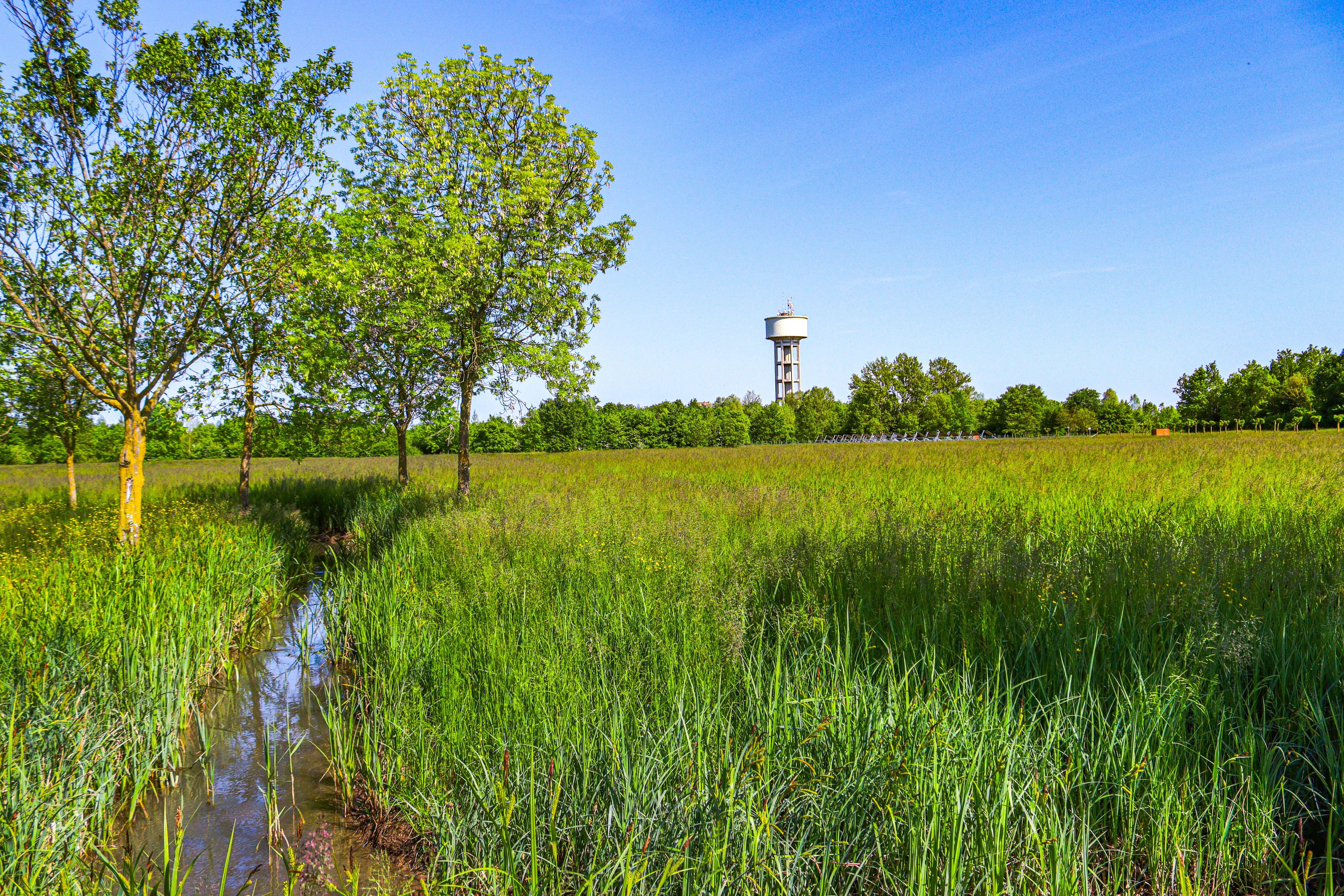 Scenic Spring Field with Water Tower and Trees · Free Stock Photo