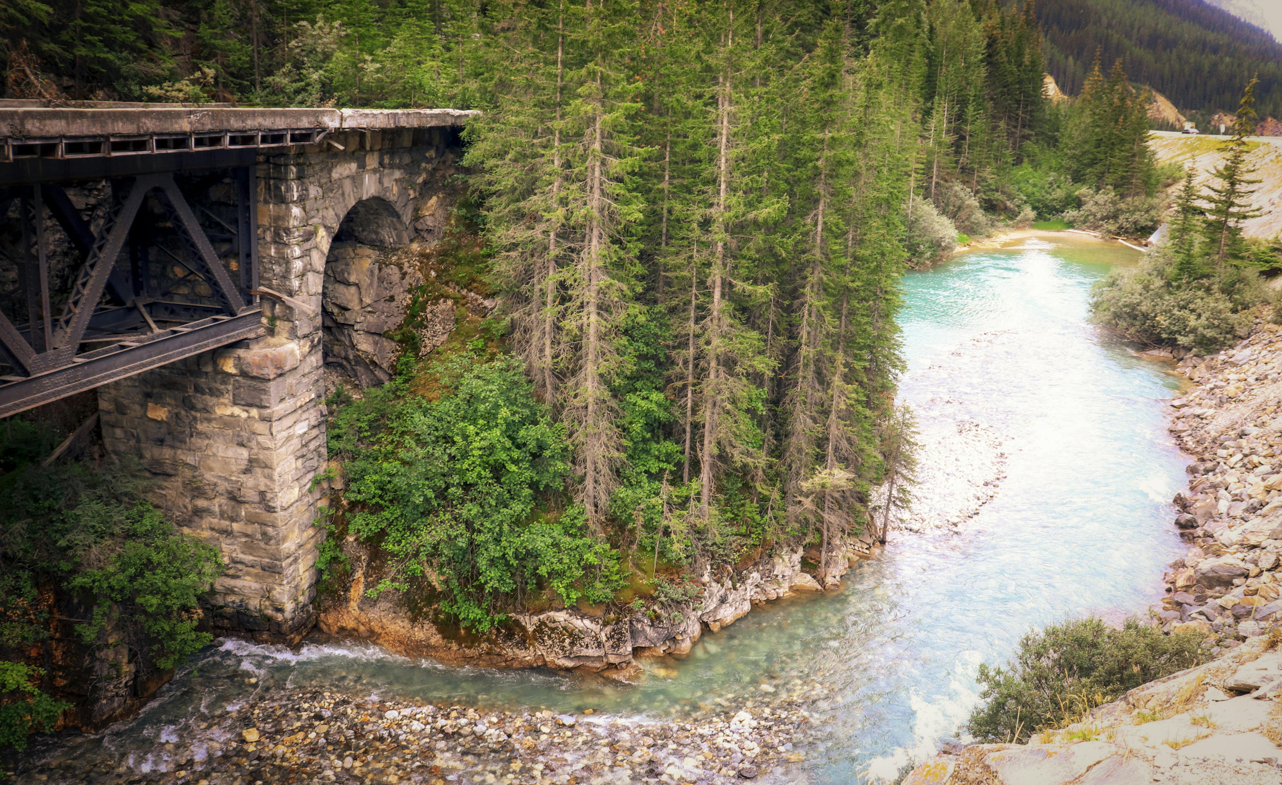 Alpine Creek Photos, Download The BEST Free Alpine Creek Stock Photos ...